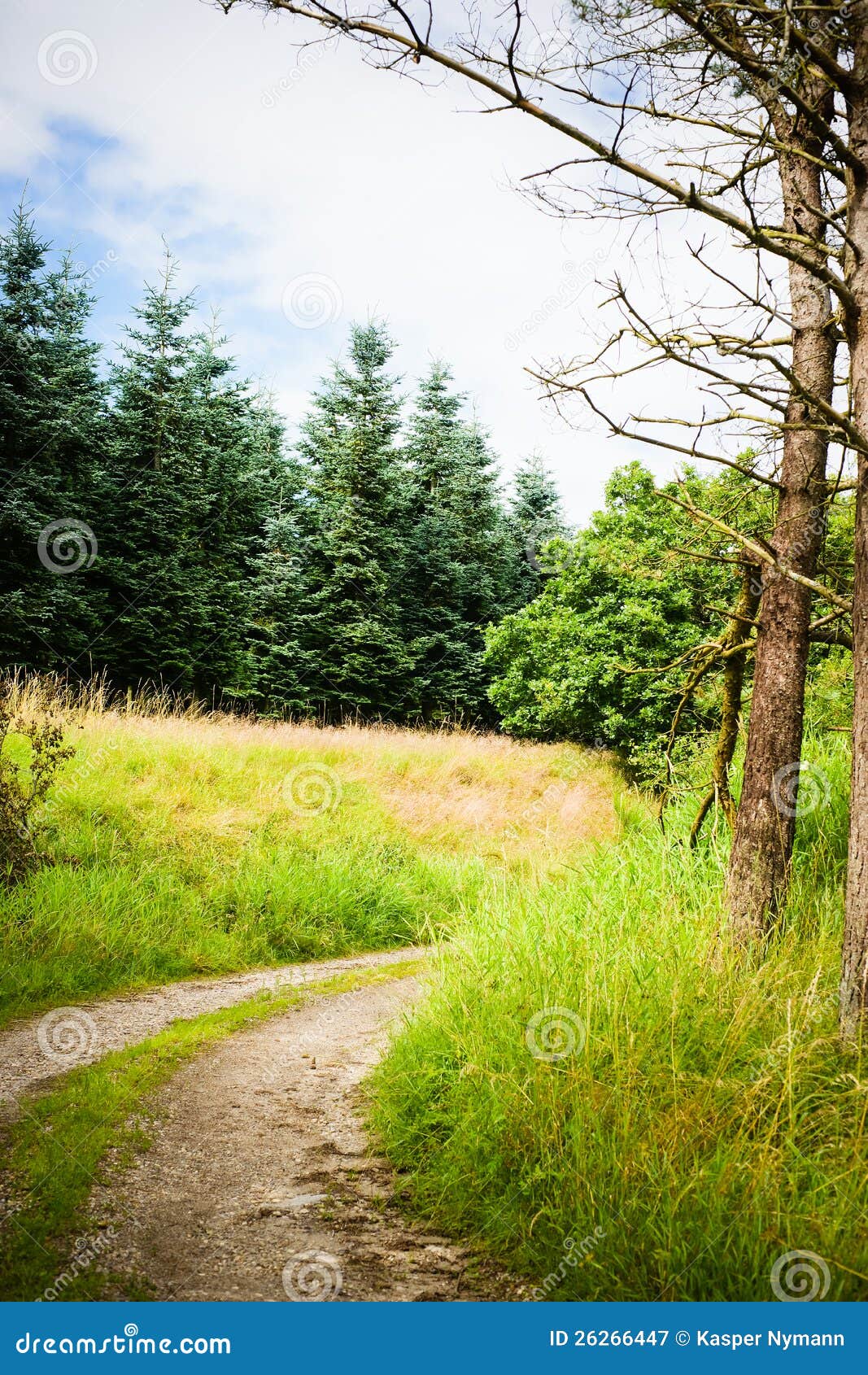 Nature path stock image. Image of country, meadow, green - 26266447