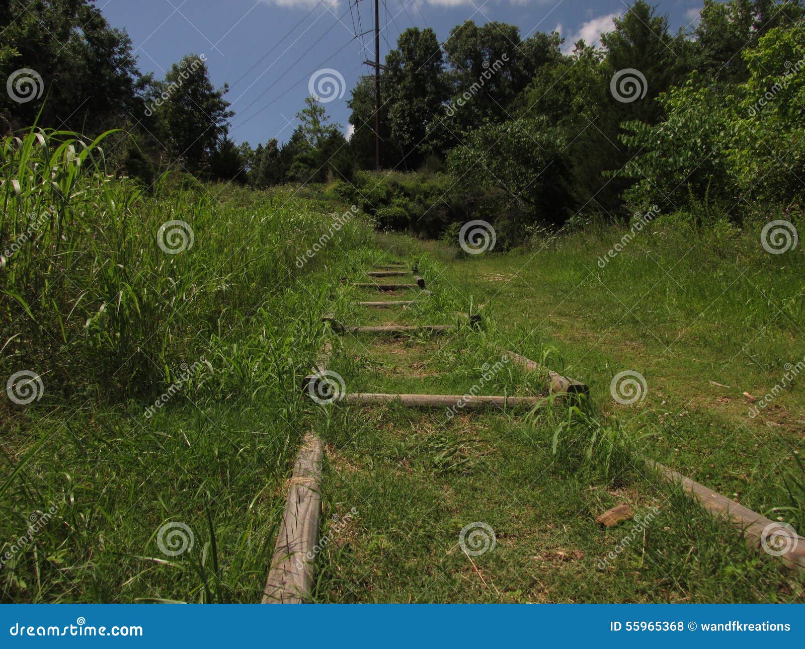 Nature Path stock photo. Image of hiking, path, trail - 55965368