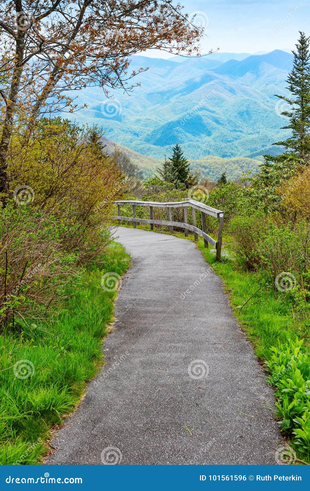 Nature Path in Mountains stock photo. Image of green - 101561596