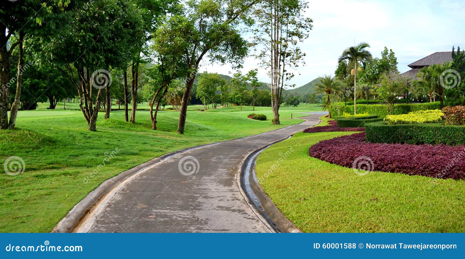 Nature path with resort stock photo. Image of annuals - 60001588