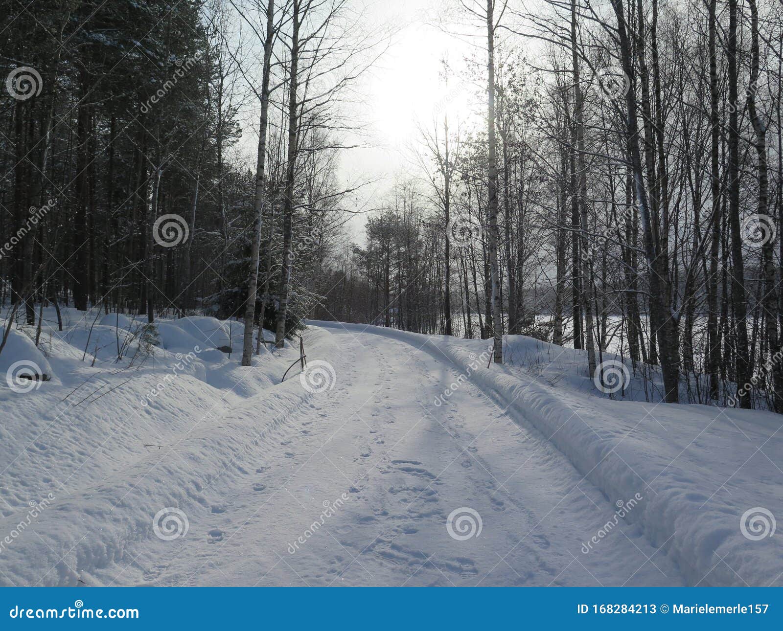 Nature Path with Snow during Winter. Stock Image - Image of winter ...