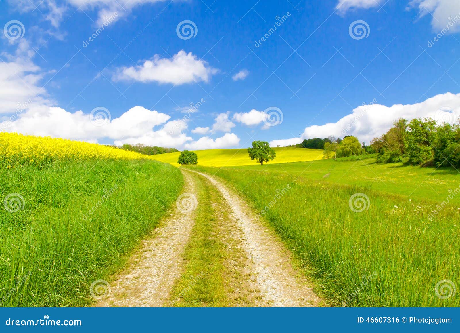 Nature path in spring stock photo. Image of horizon, hiking - 46607316