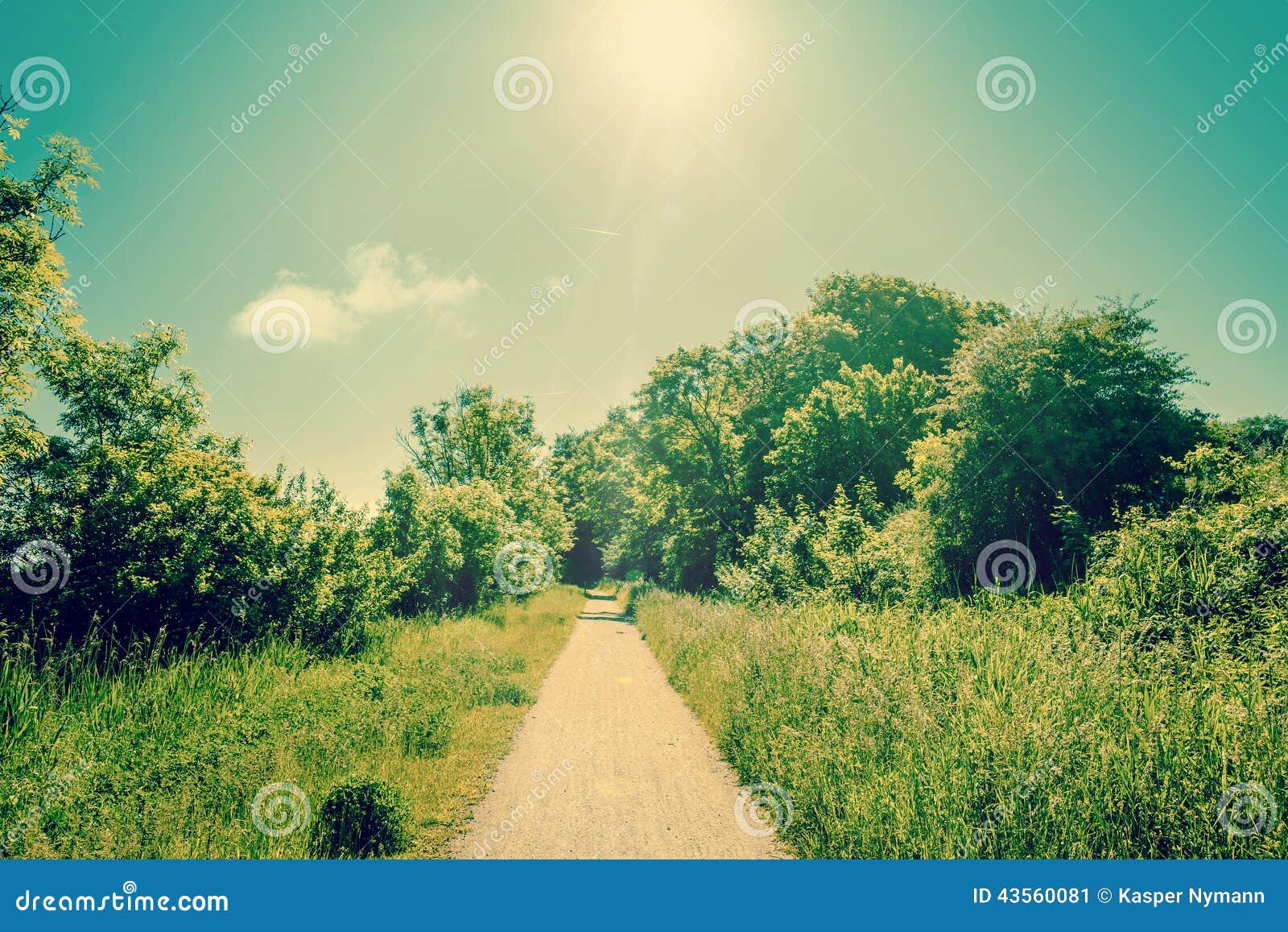 Nature path stock image. Image of forest, nature, scene - 43560081