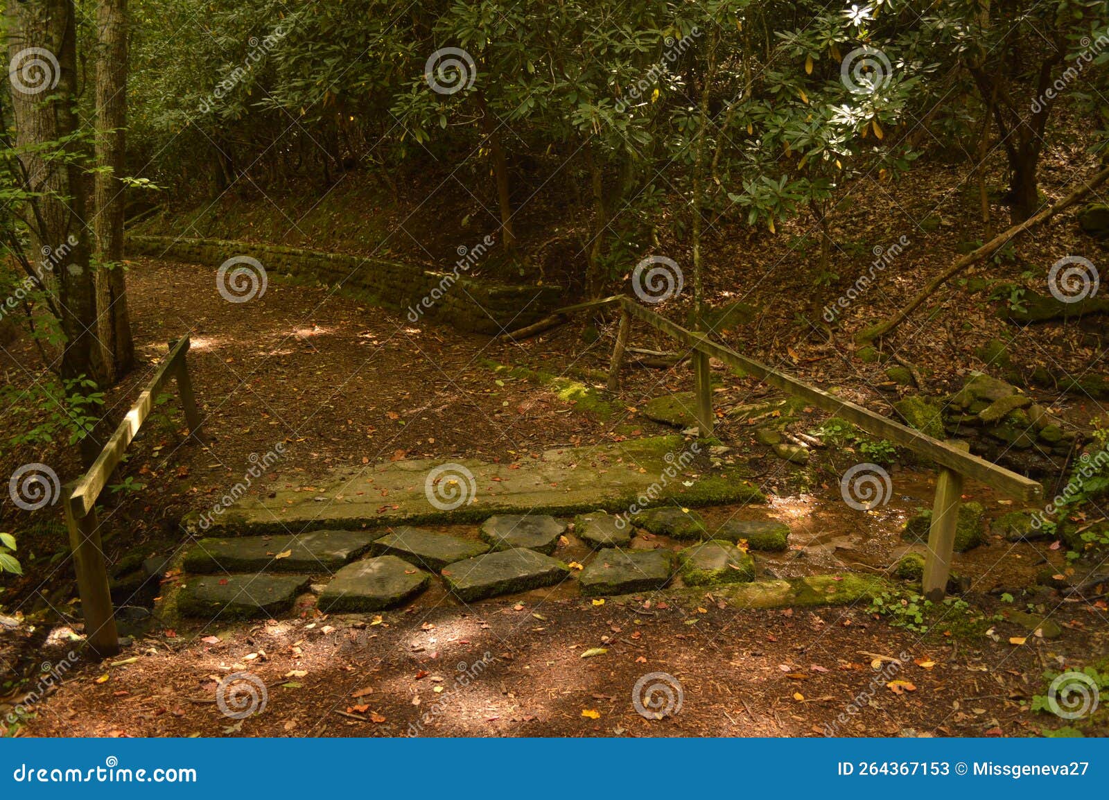 Nature paths crossing. stock image. Image of rock, path - 264367153