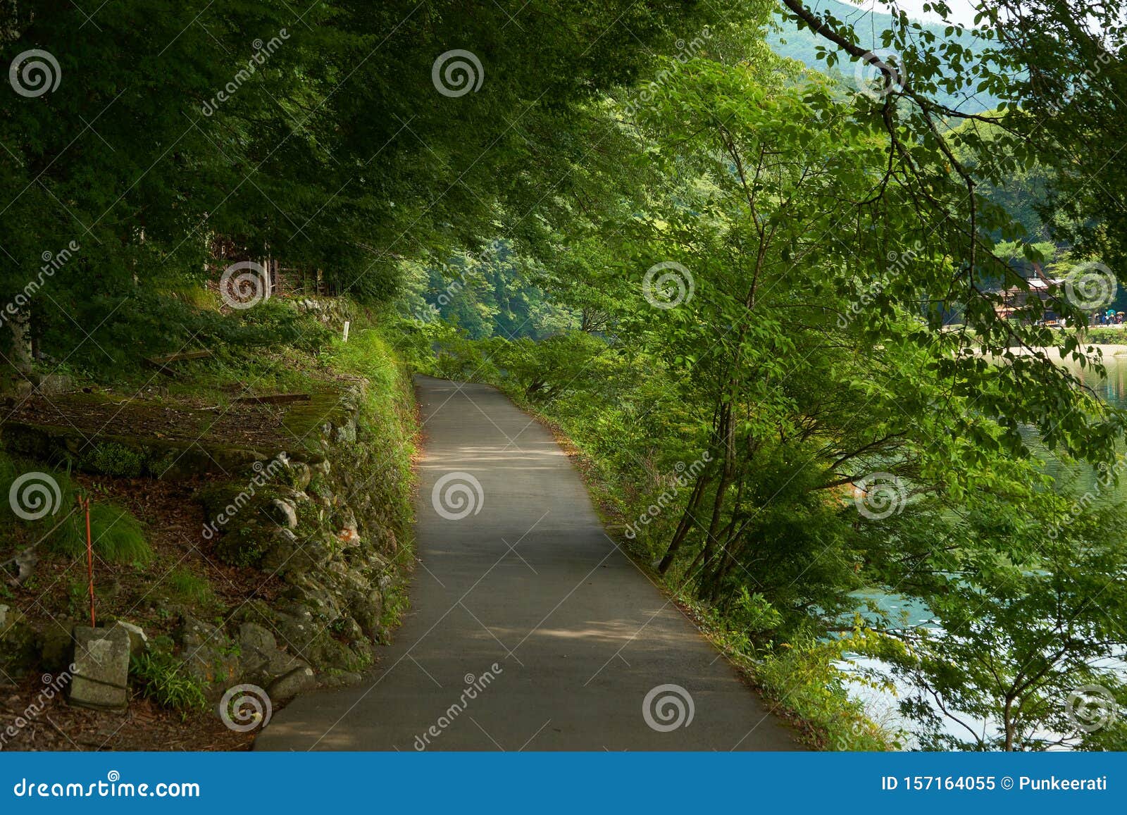 Nature Pathway with Beautiful Scenery Stock Image - Image of outdoor ...