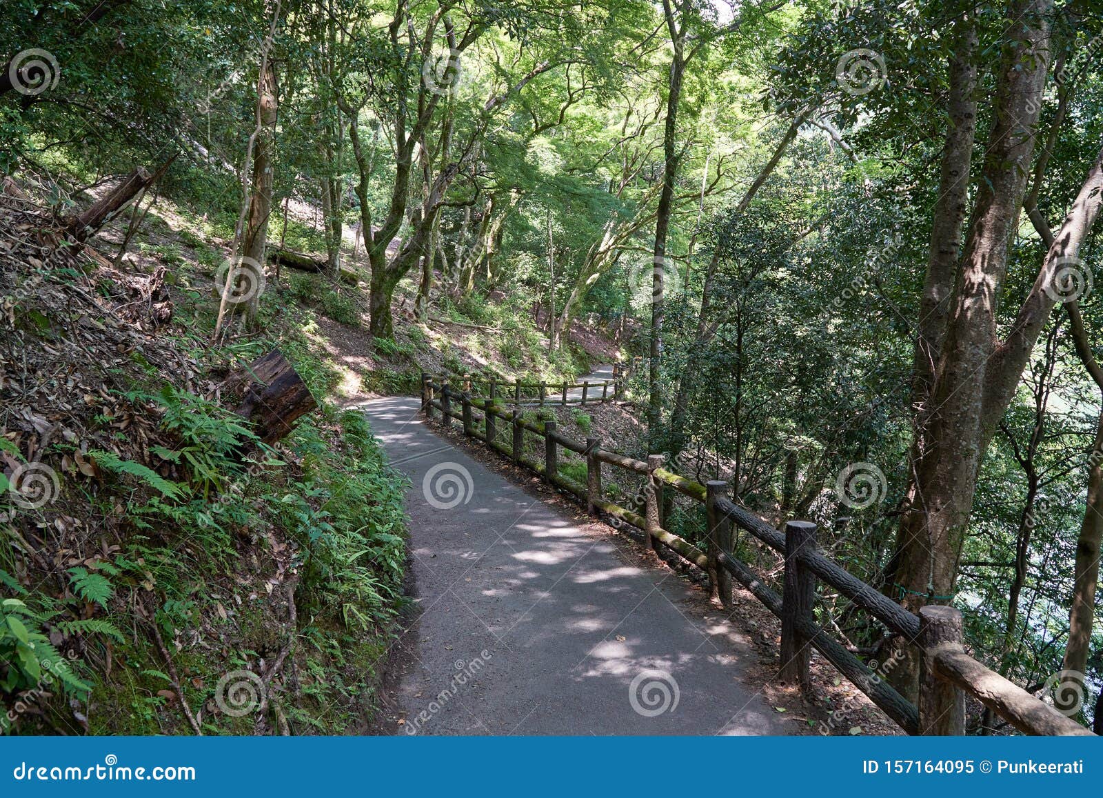 Nature Pathway with Beautiful Scenery Stock Image - Image of green ...