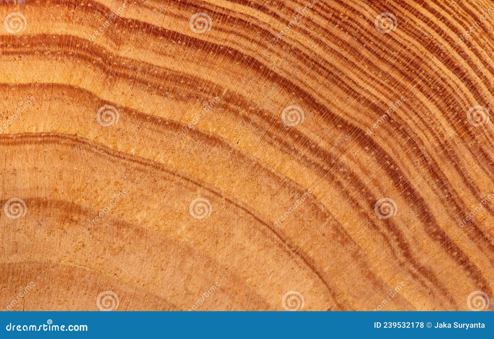Nature Pattern of Teak Wood Texture for Background Stock Photo - Image ...