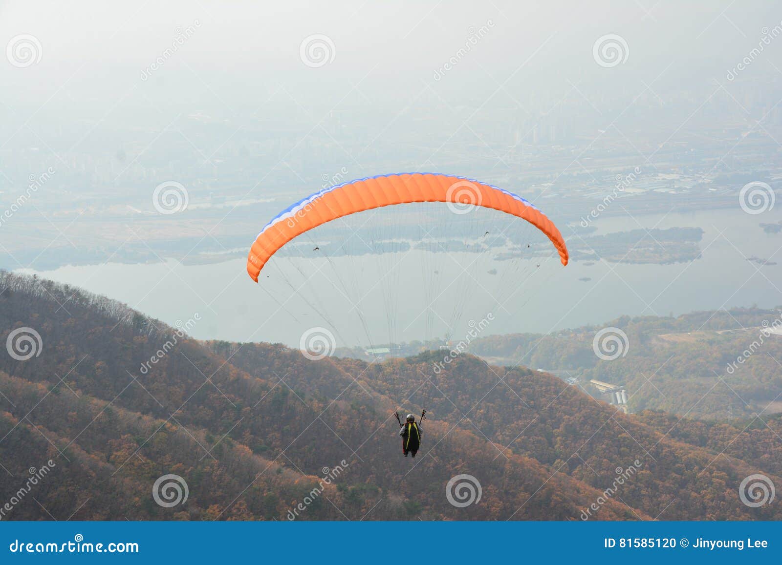 Nature stock photo. Image of tree, parachute, people - 81585120