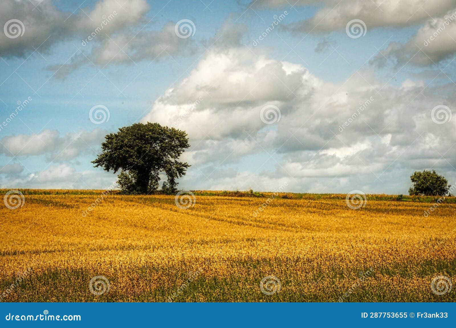 Nature Photo stock image. Image of farming, fields, tree - 287753655