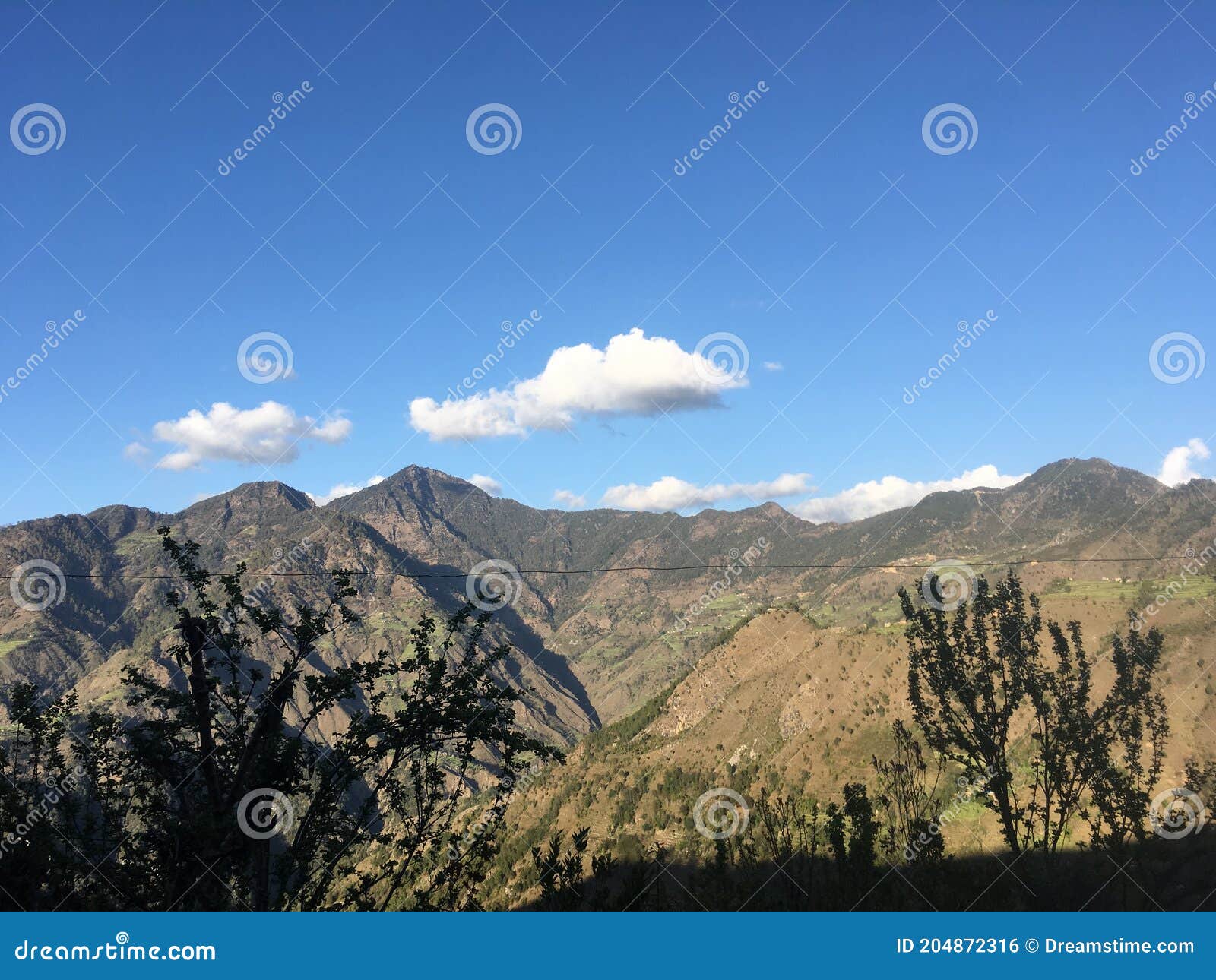 Nature photo stock photo. Image of naturephoto, nature - 204872316