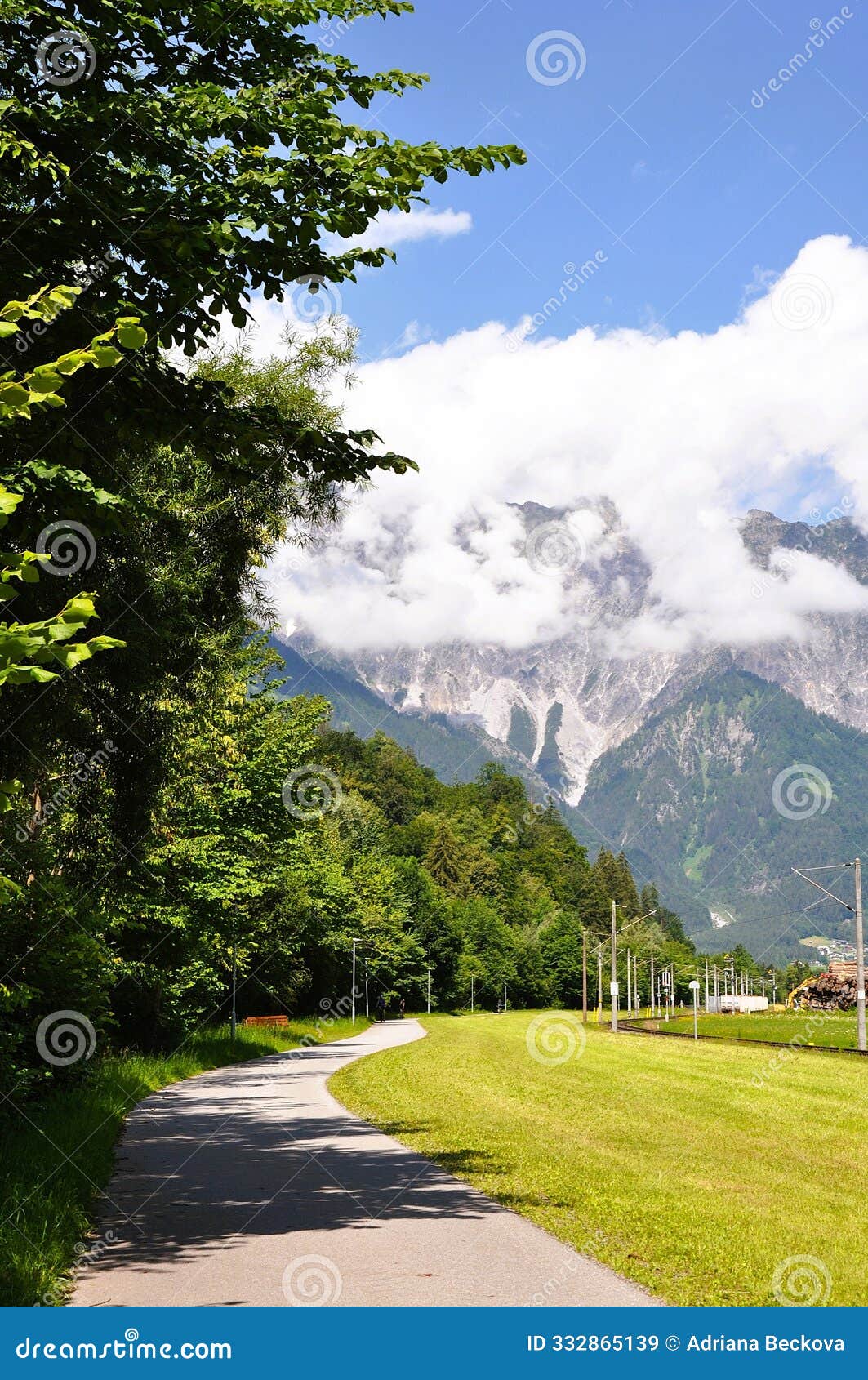 Mountains with pathway stock image. Image of forest - 332865139