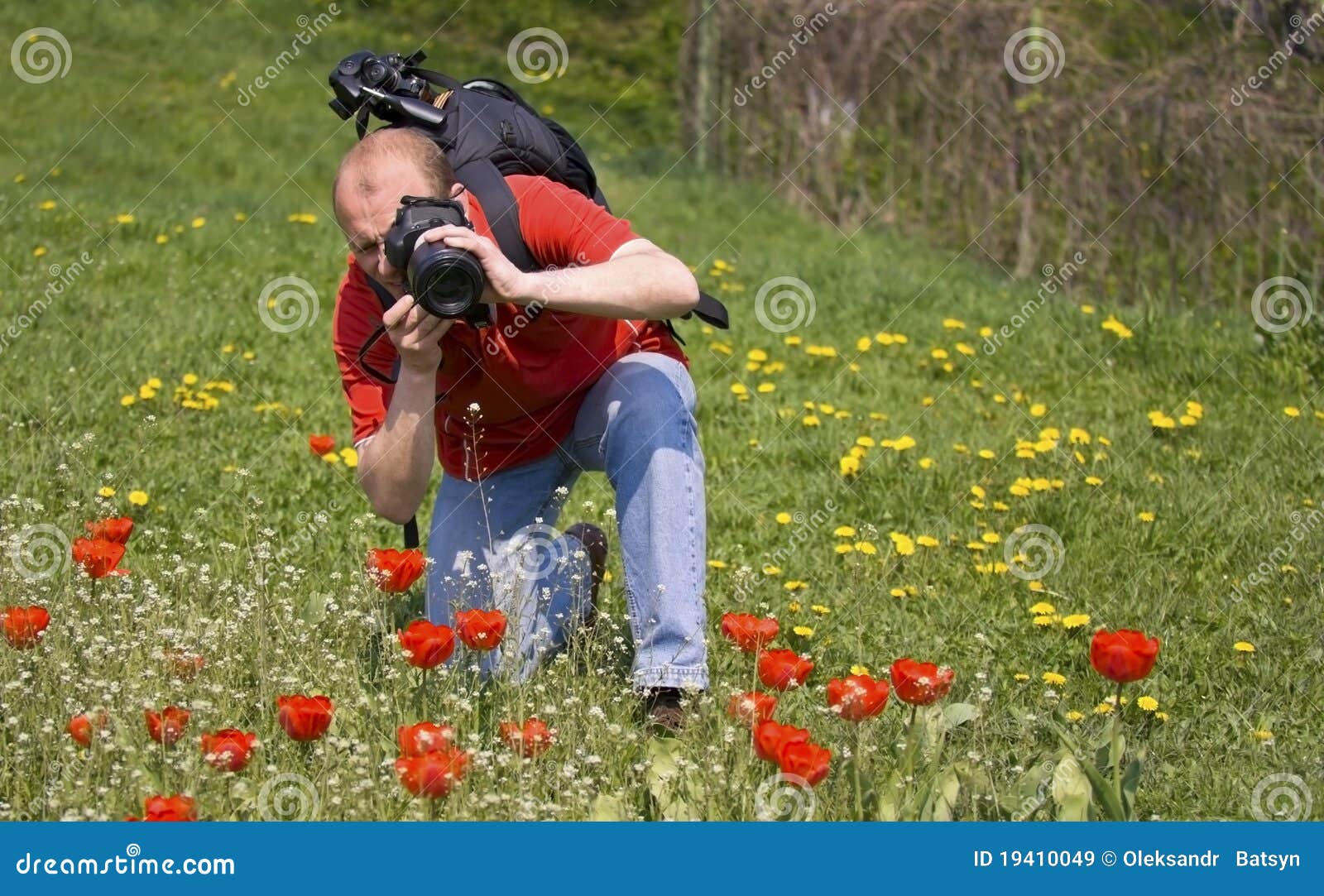 Nature Photographer at Work Stock Image - Image of green, adult: 19410049