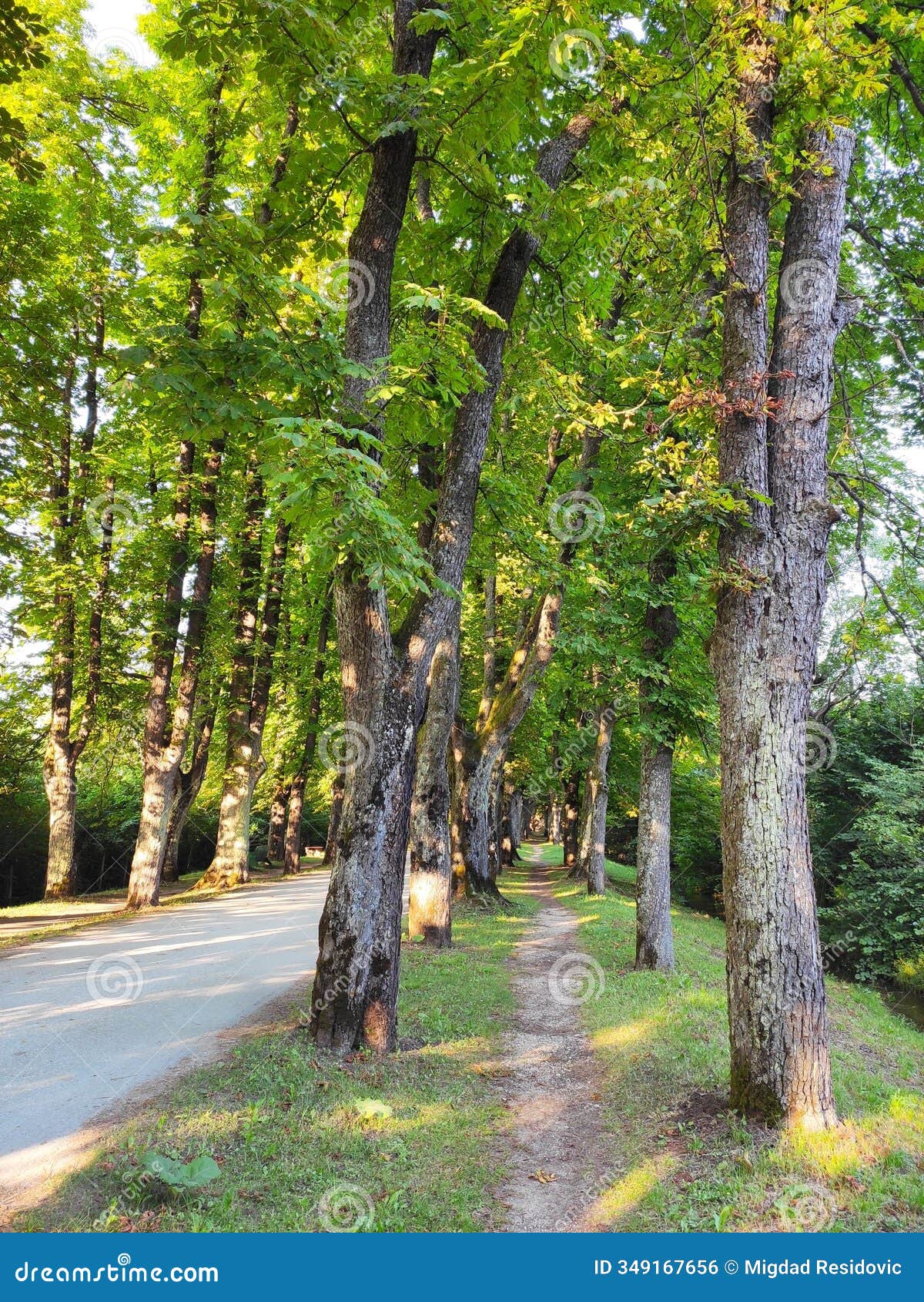 Nature Photos. the Eye of Ilidza and Ilidza Stock Photo - Image of ...