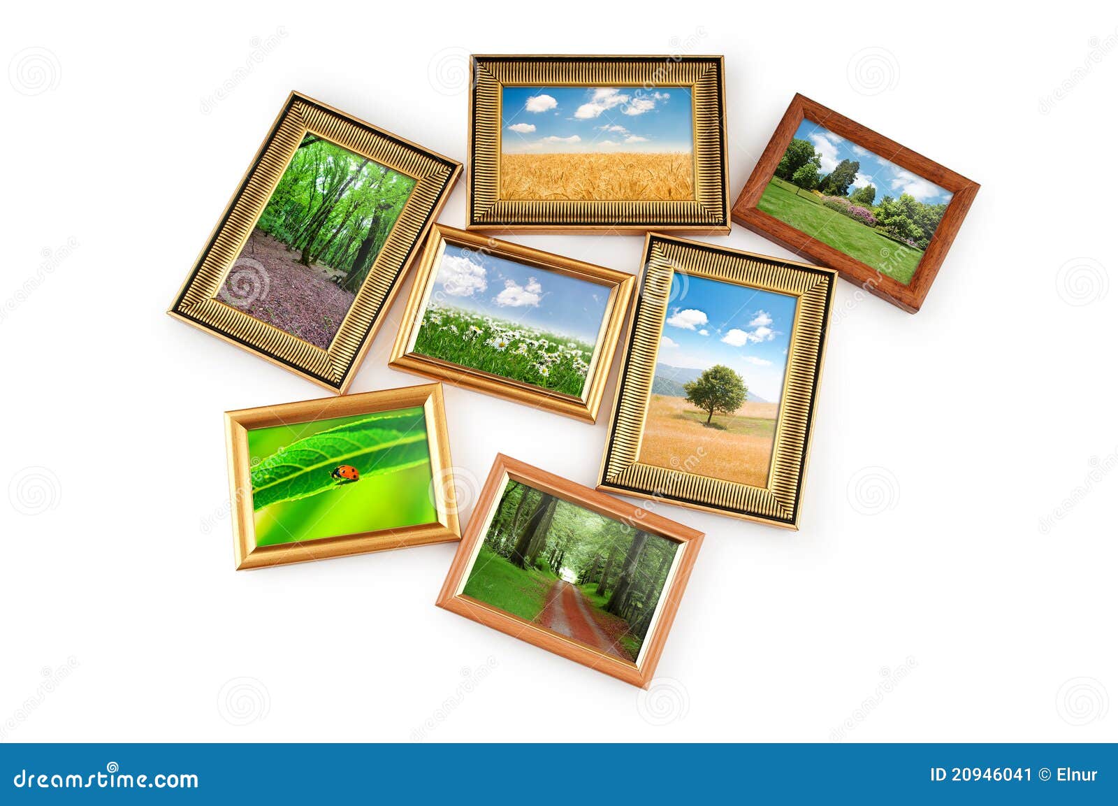 Nature photos in frames stock image. Image of grass, country - 20946041