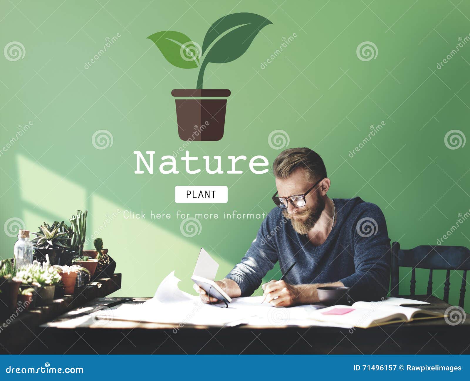 Nature Plant Ecology Environmental Conservation Concept Stock Image ...