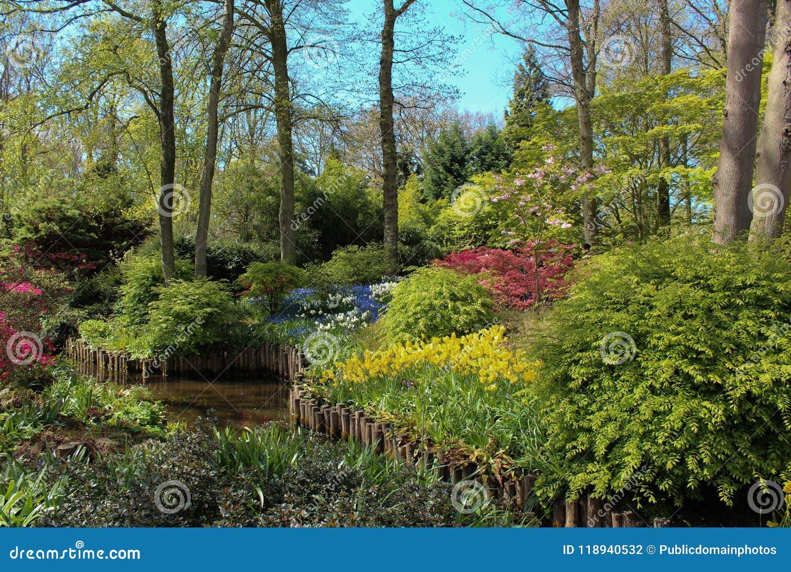 Nature, Plant, Vegetation, Garden Picture. Image: 118940532