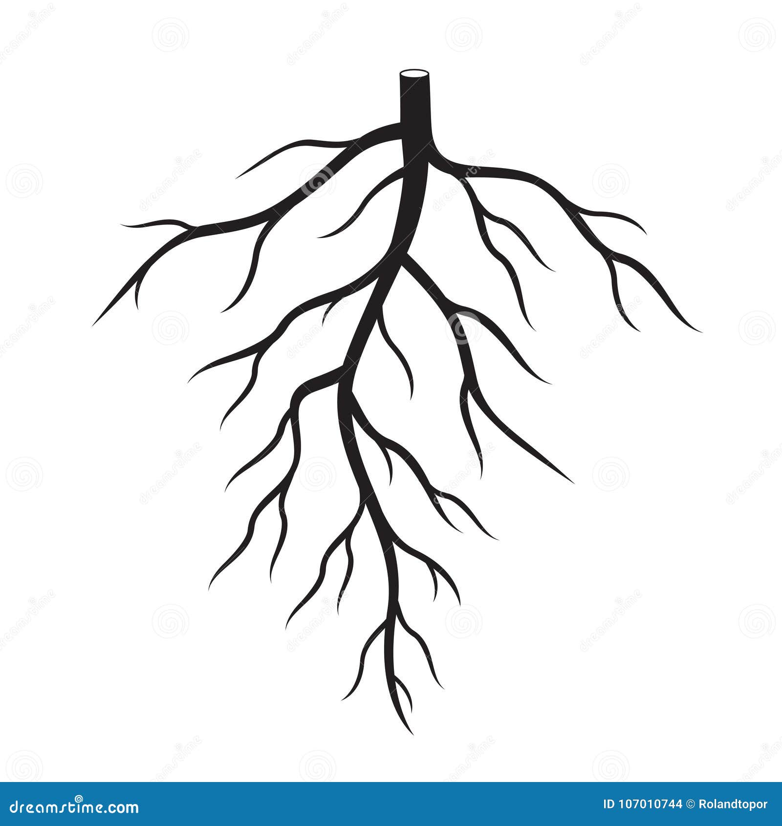 Black Roots Tree. Vector Illustration. Stock Illustration ...