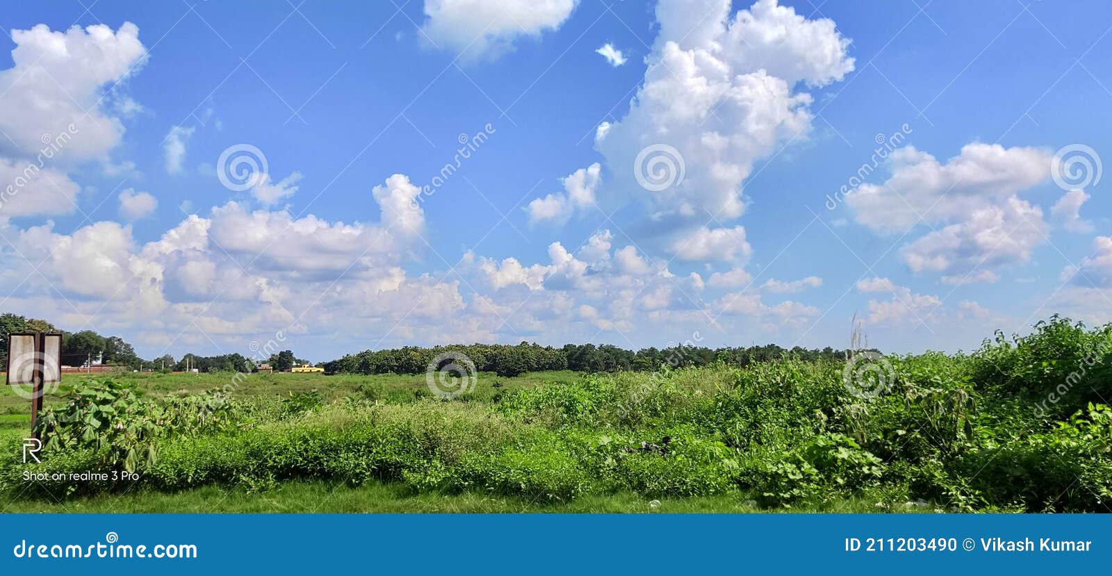 Nature stock photo. Image of sunlight, pleasant, nature - 211203490