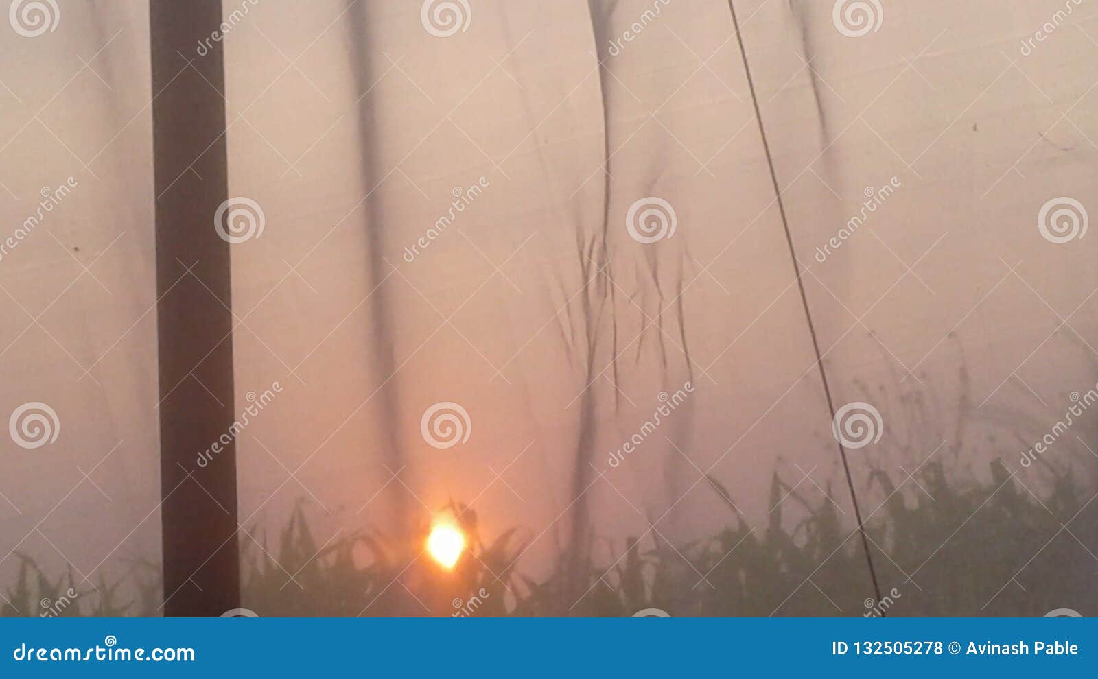 Sun stock photo. Image of nature, evening - 132505278