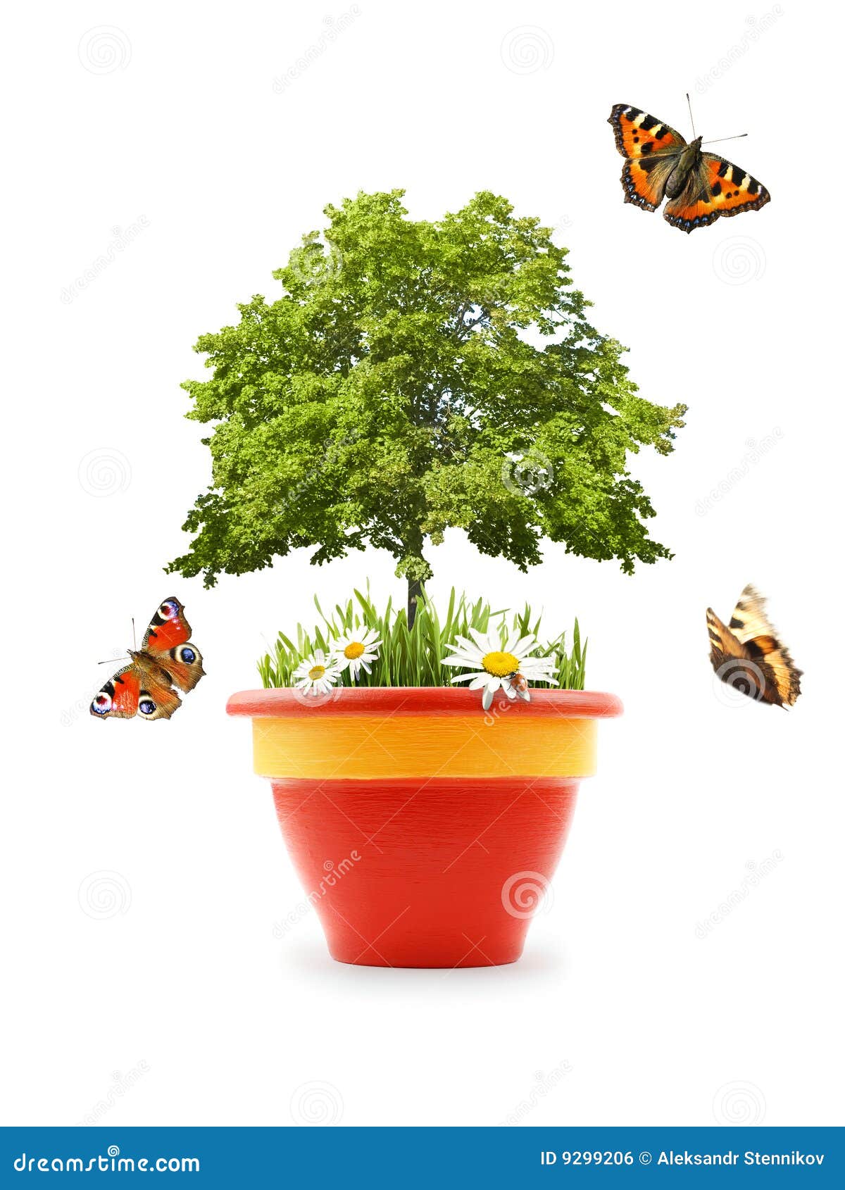 Nature in a pot stock photo. Image of ceramic, flower - 9299206