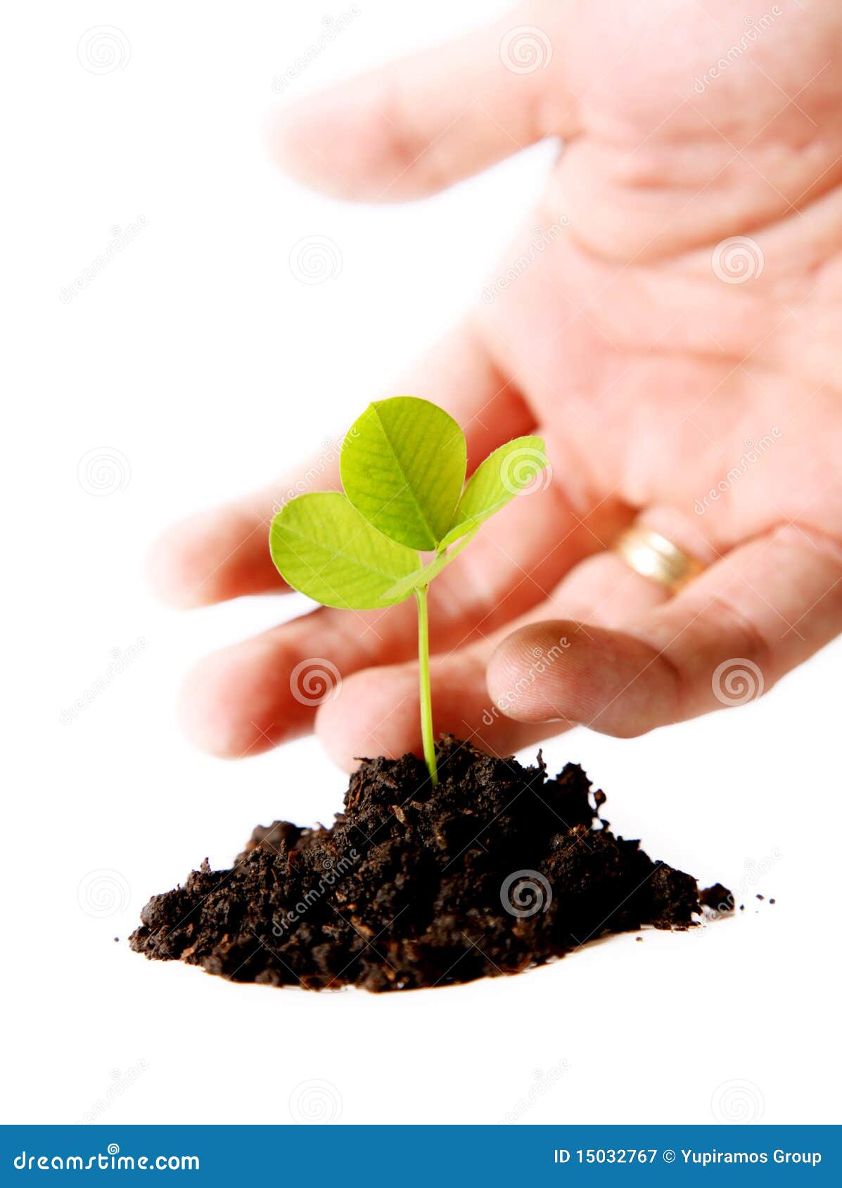 Nature protection stock image. Image of earth, hope, hand - 15032767
