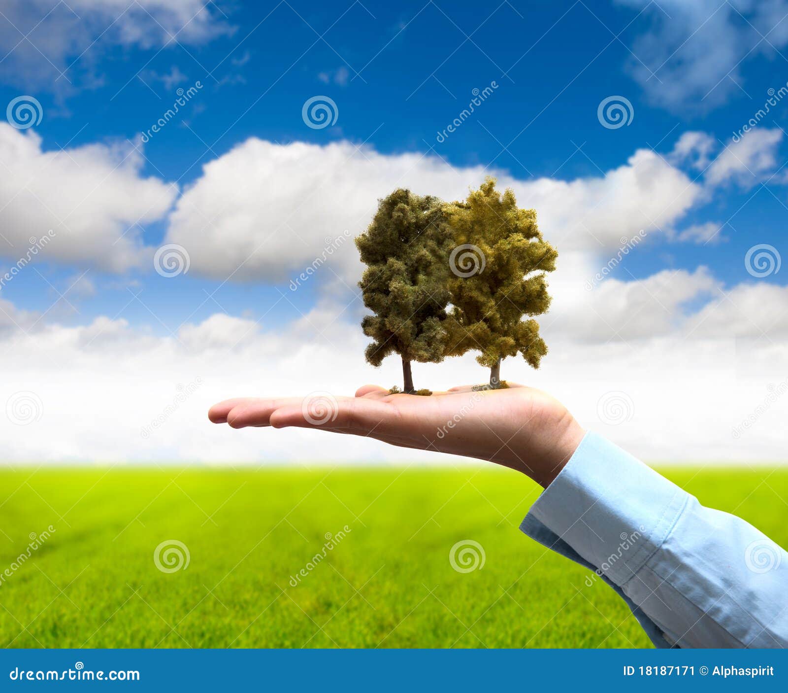 Nature protection concept stock image. Image of protection - 18187171