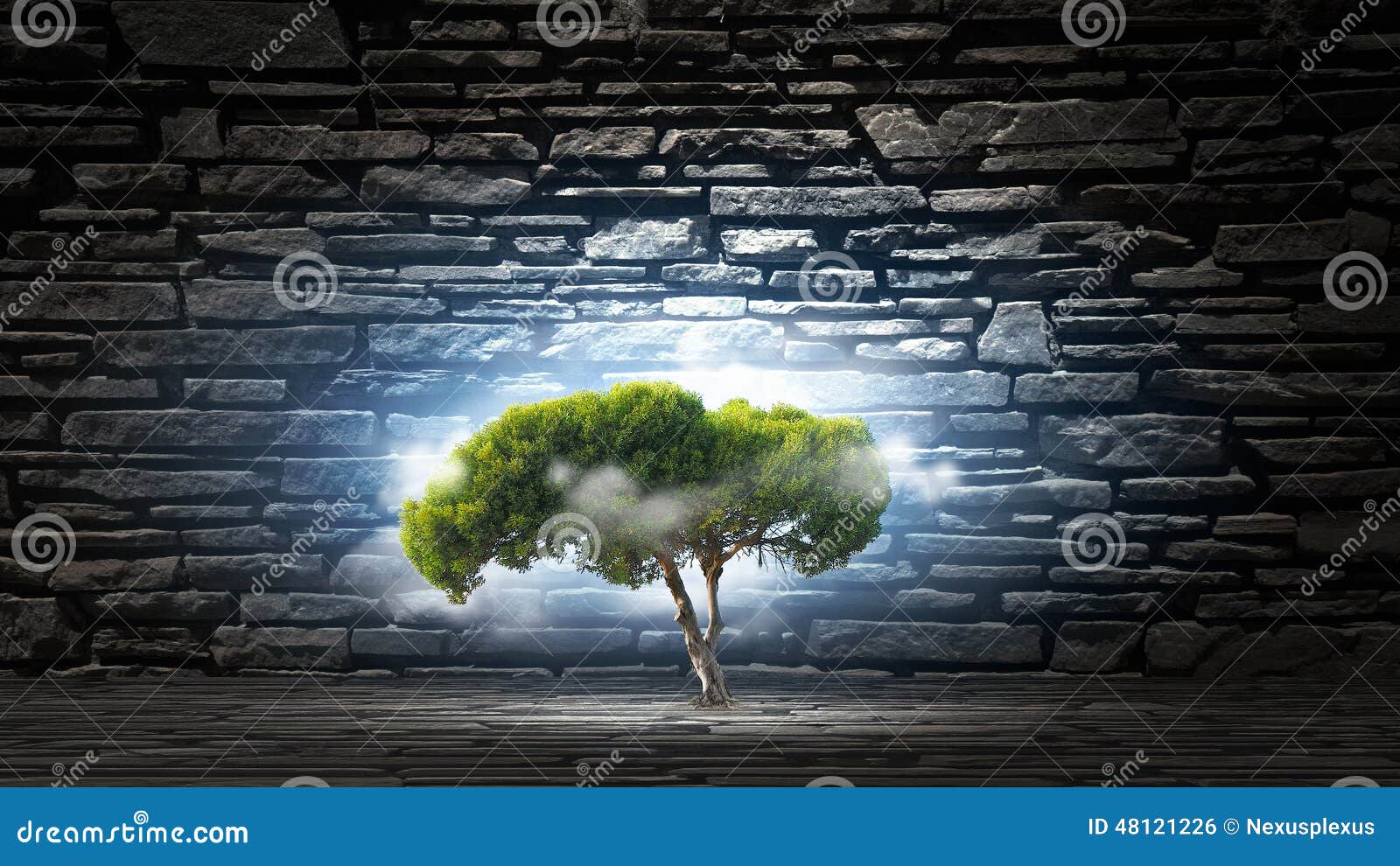 Nature protection stock photo. Image of protect, ecological - 48121226