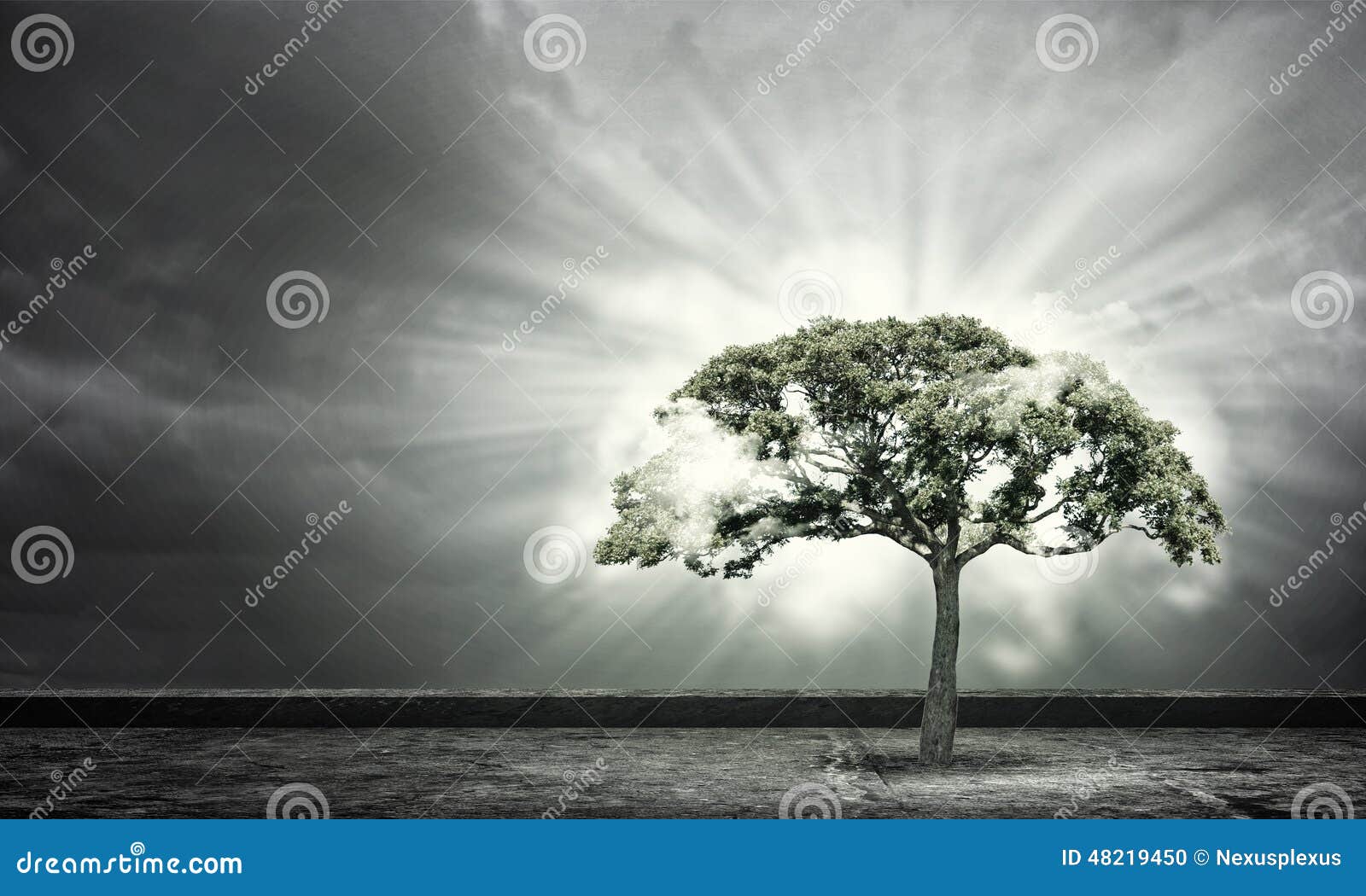 Nature protection stock photo. Image of natural, ecology - 48219450