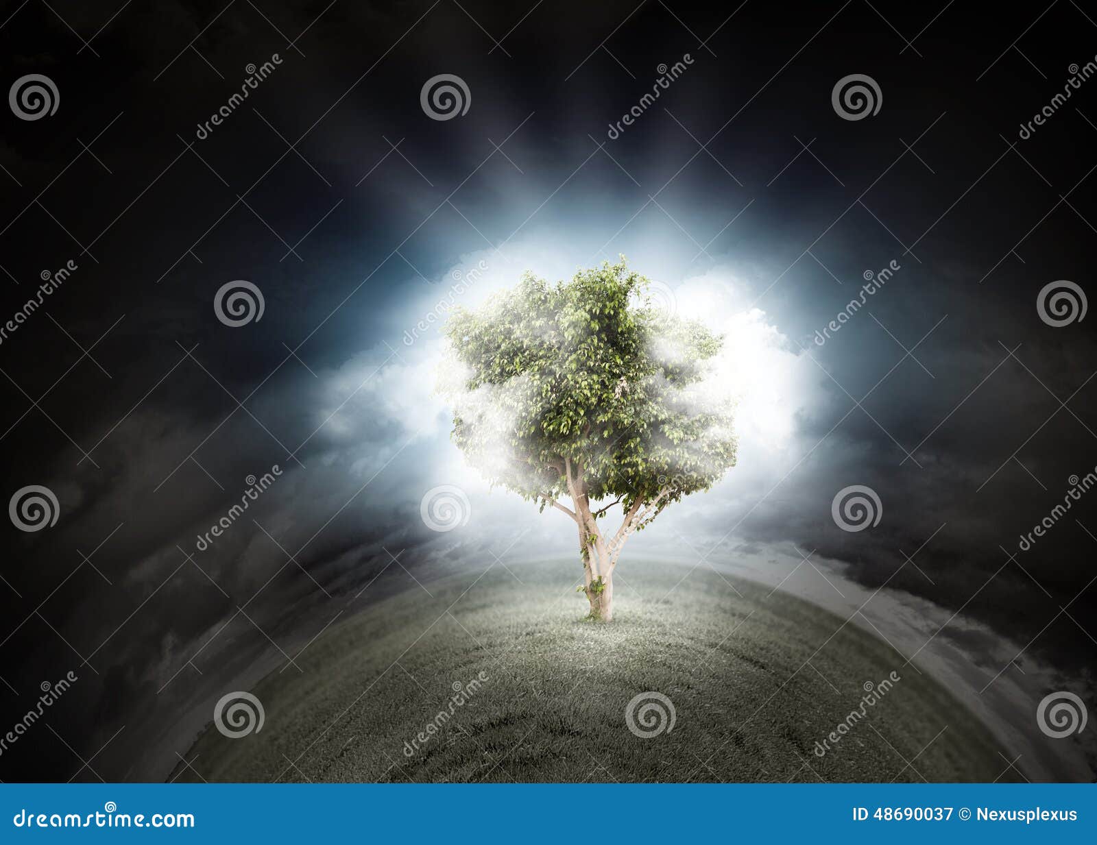 Nature protection stock image. Image of environment, protection - 48690037