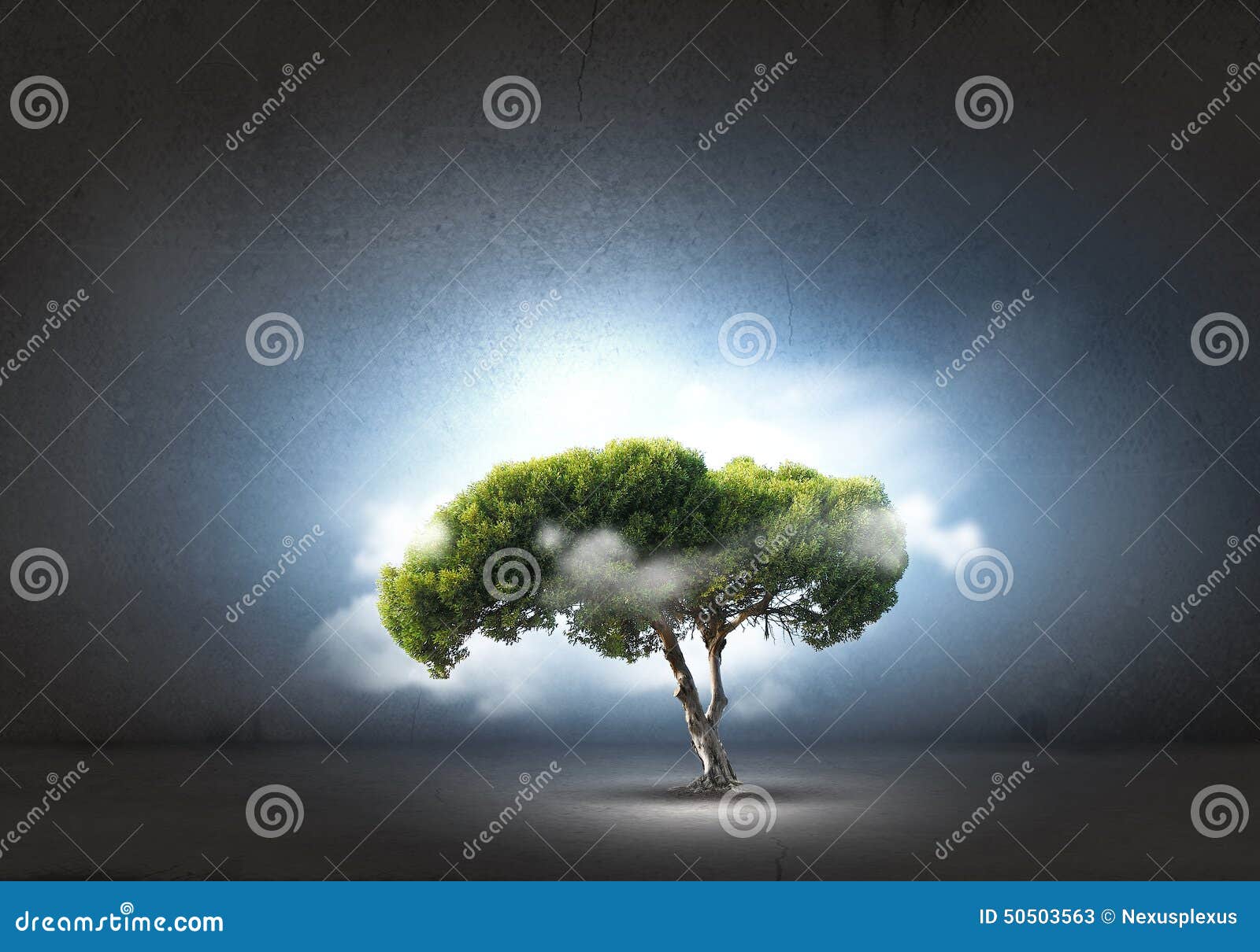 Nature protection stock image. Image of tree, light, globe - 50503563
