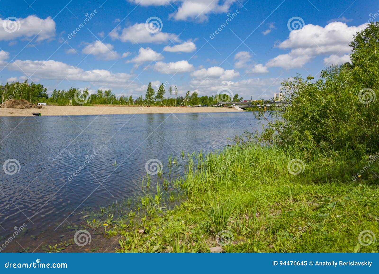Nature Purity Grass on the River Bank Stock Image - Image of landscape ...