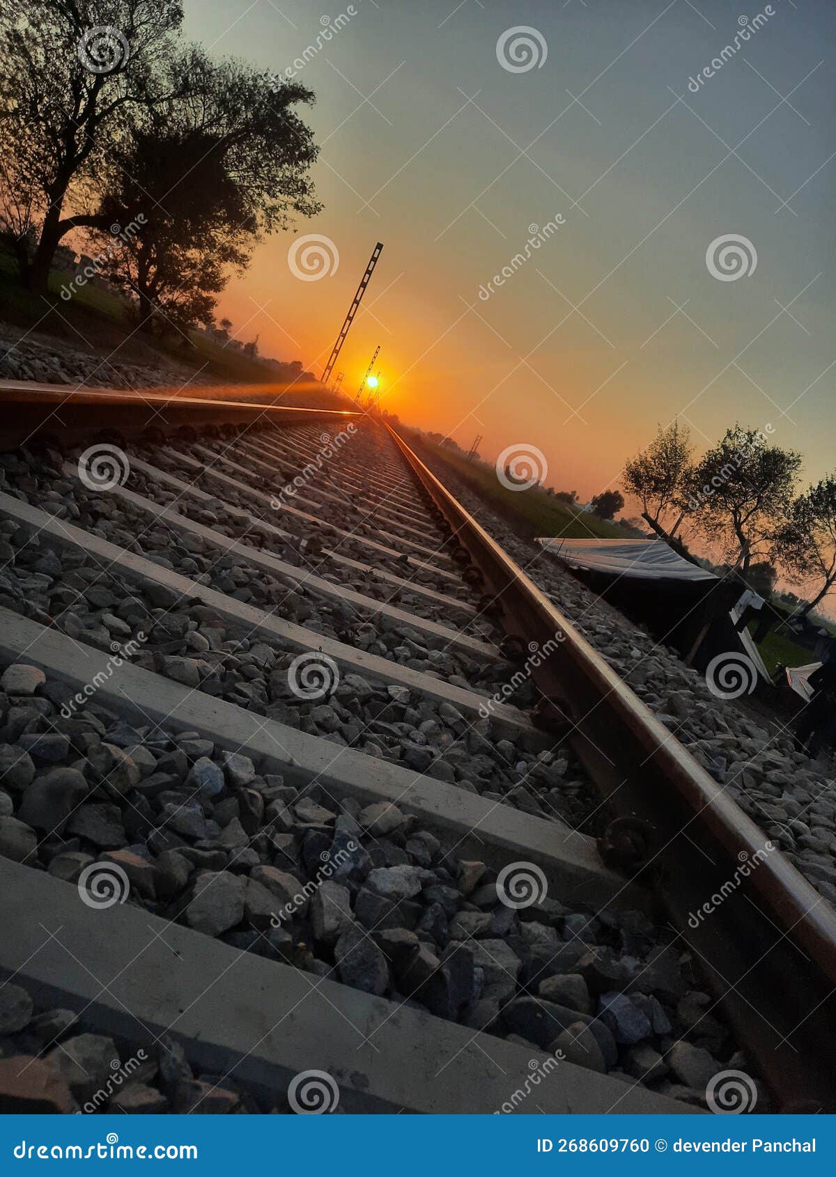 Nature with railway line stock photo. Image of morning - 268609760