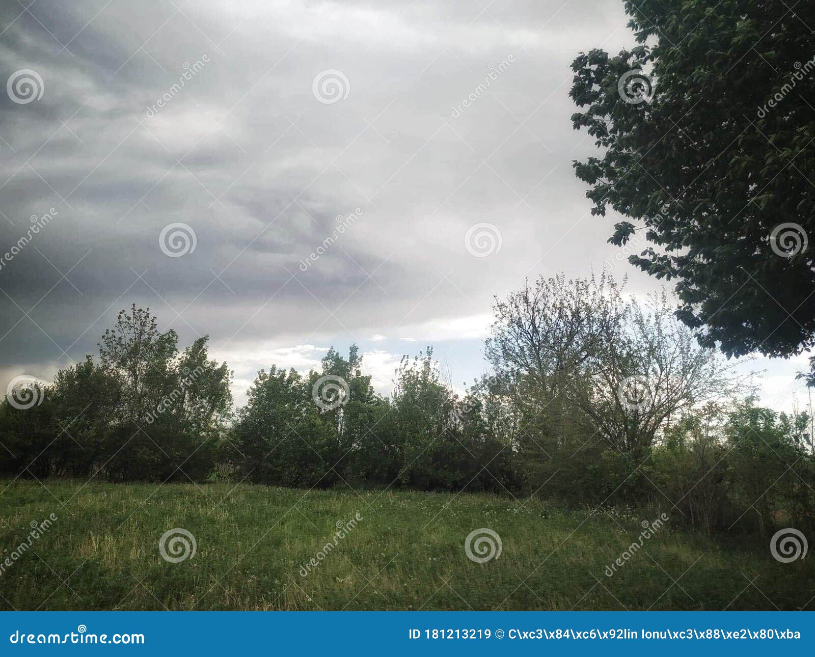 Nature after rain stock image. Image of green, nature - 181213219