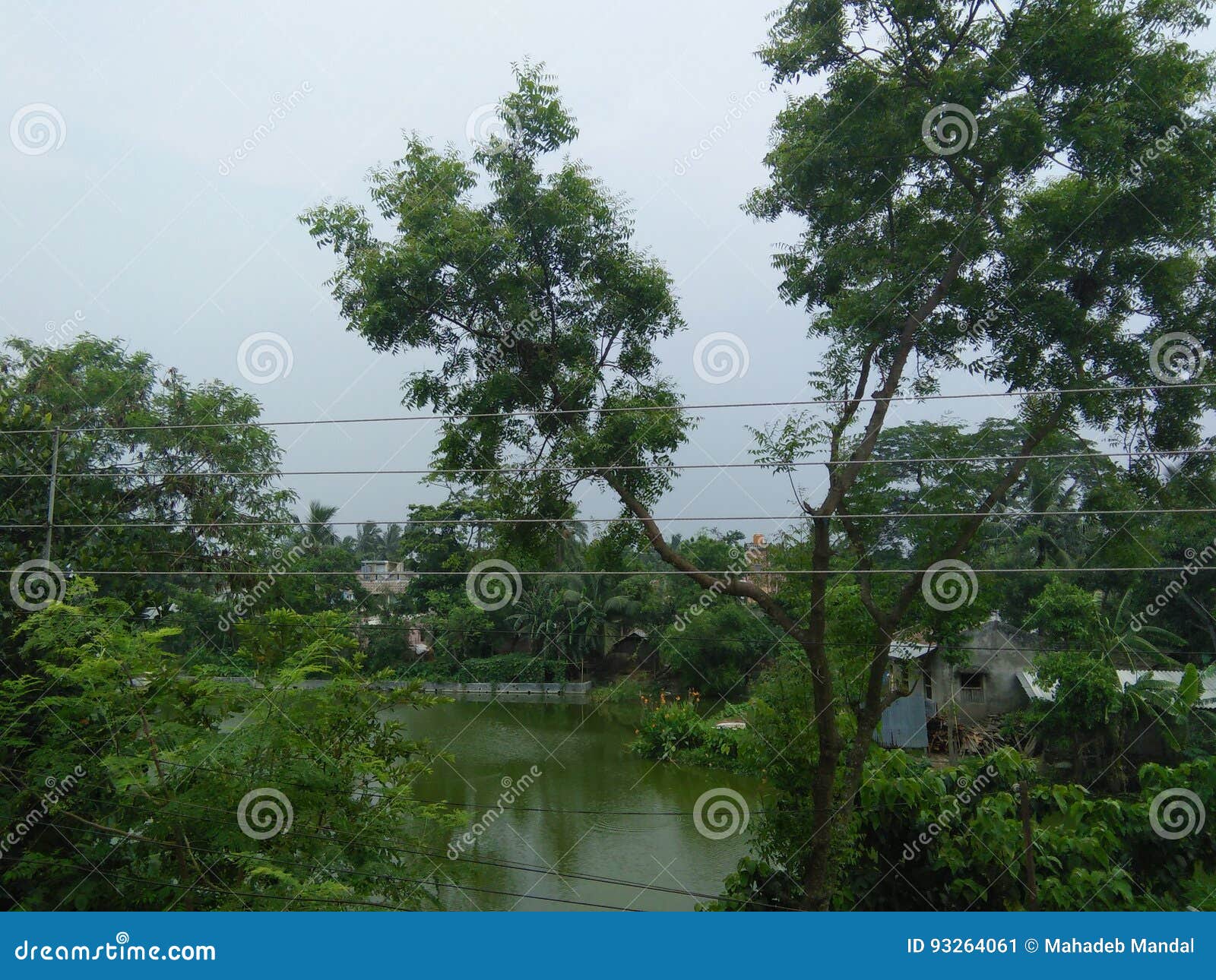 Nature rain session stock image. Image of rain, session - 93264061