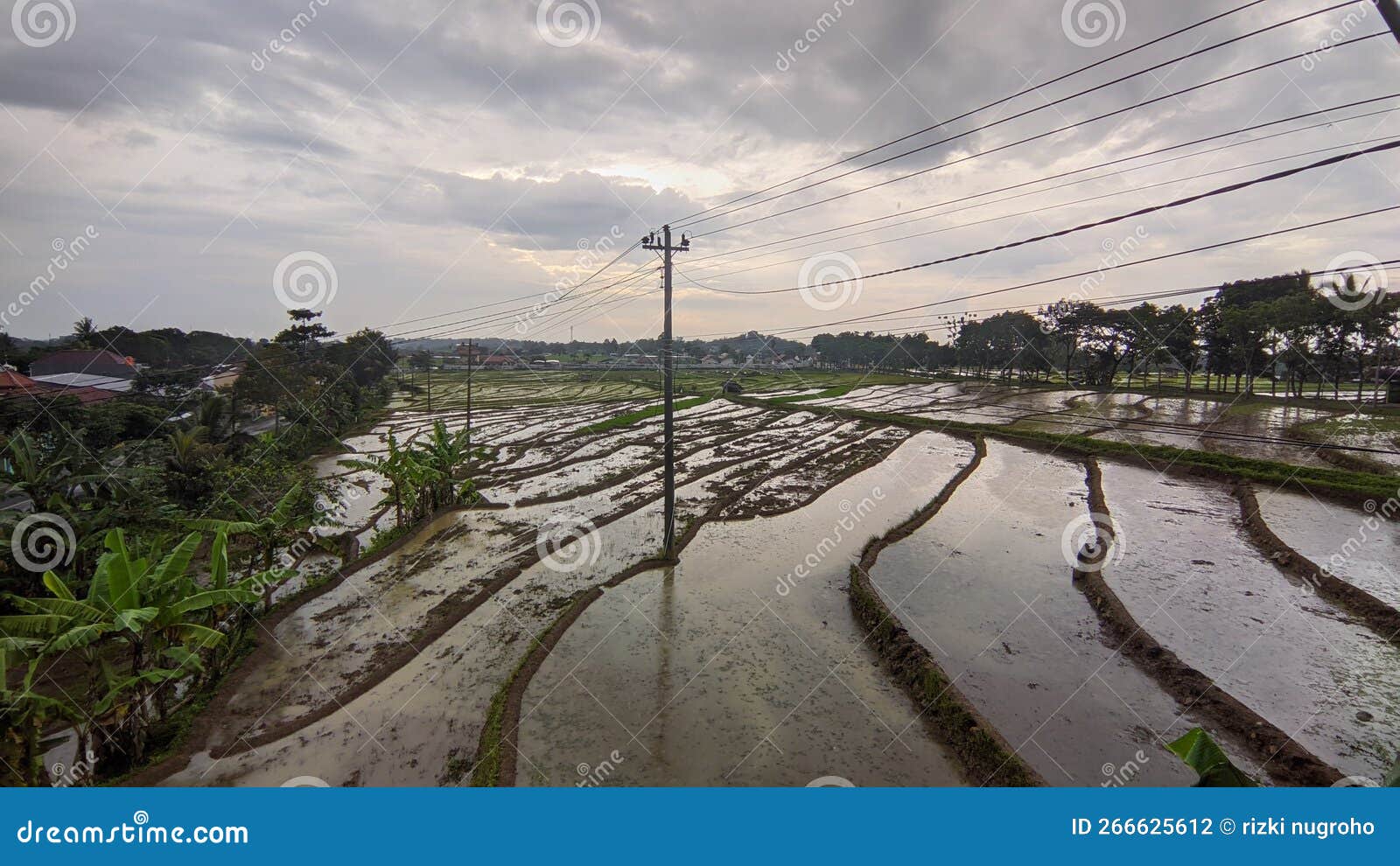 Nature after Rain and the Sky in the Sunset Cold Stock Photo - Image of ...