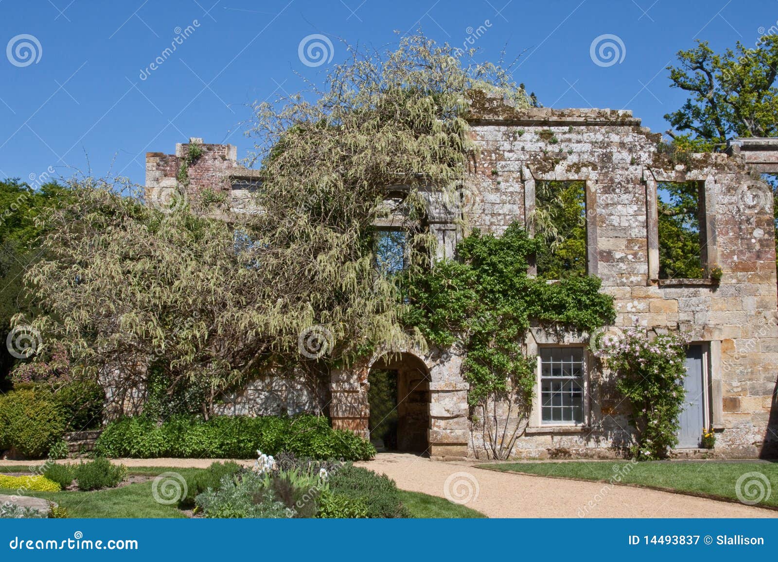 Nature Reclaimed Ruins stock image. Image of spring, structure - 14493837