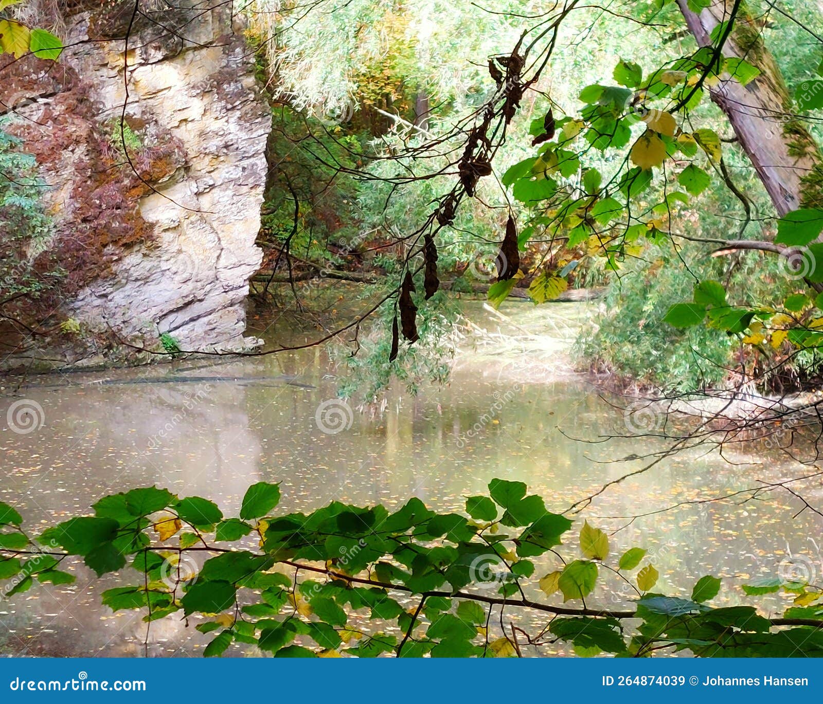 Nature Reclaiming an Abandoned Quarry in Germany Stock Image - Image of ...