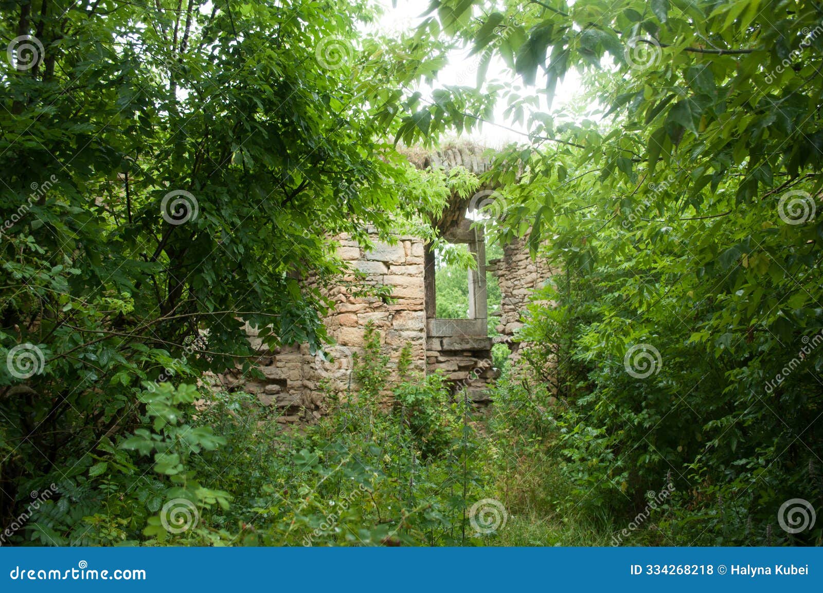 Nature Reclaims the Forgotten Ruins of a Stone Structure Stock Photo ...