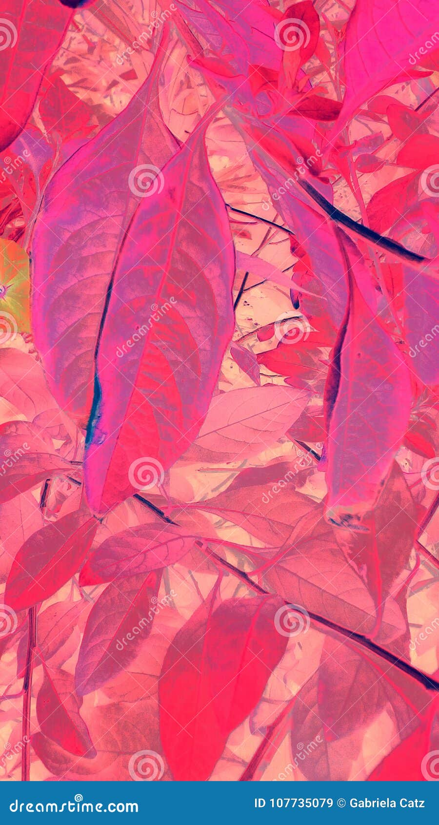 Nature in red stock image. Image of leaves, pattern - 107735079