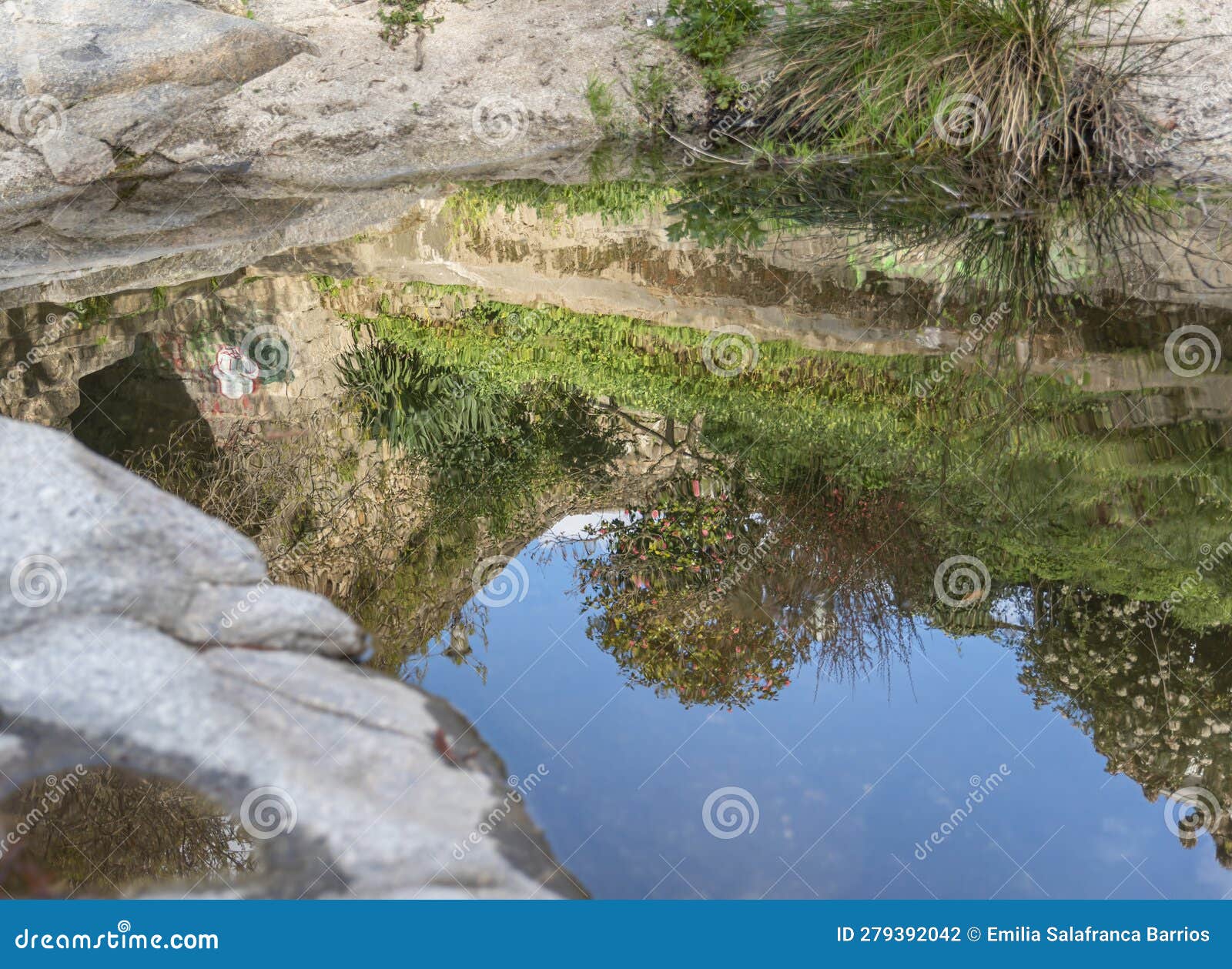 Nature Reflected in the Mirror of the River Water Stock Photo - Image ...