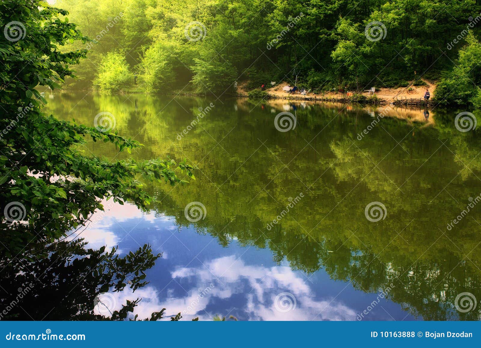 Nature reflections on lake stock photo. Image of scenery - 10163888