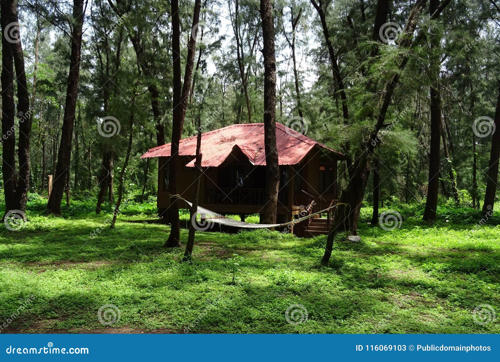 Nature Reserve, Forest, Tree, Hut Picture. Image: 116069103
