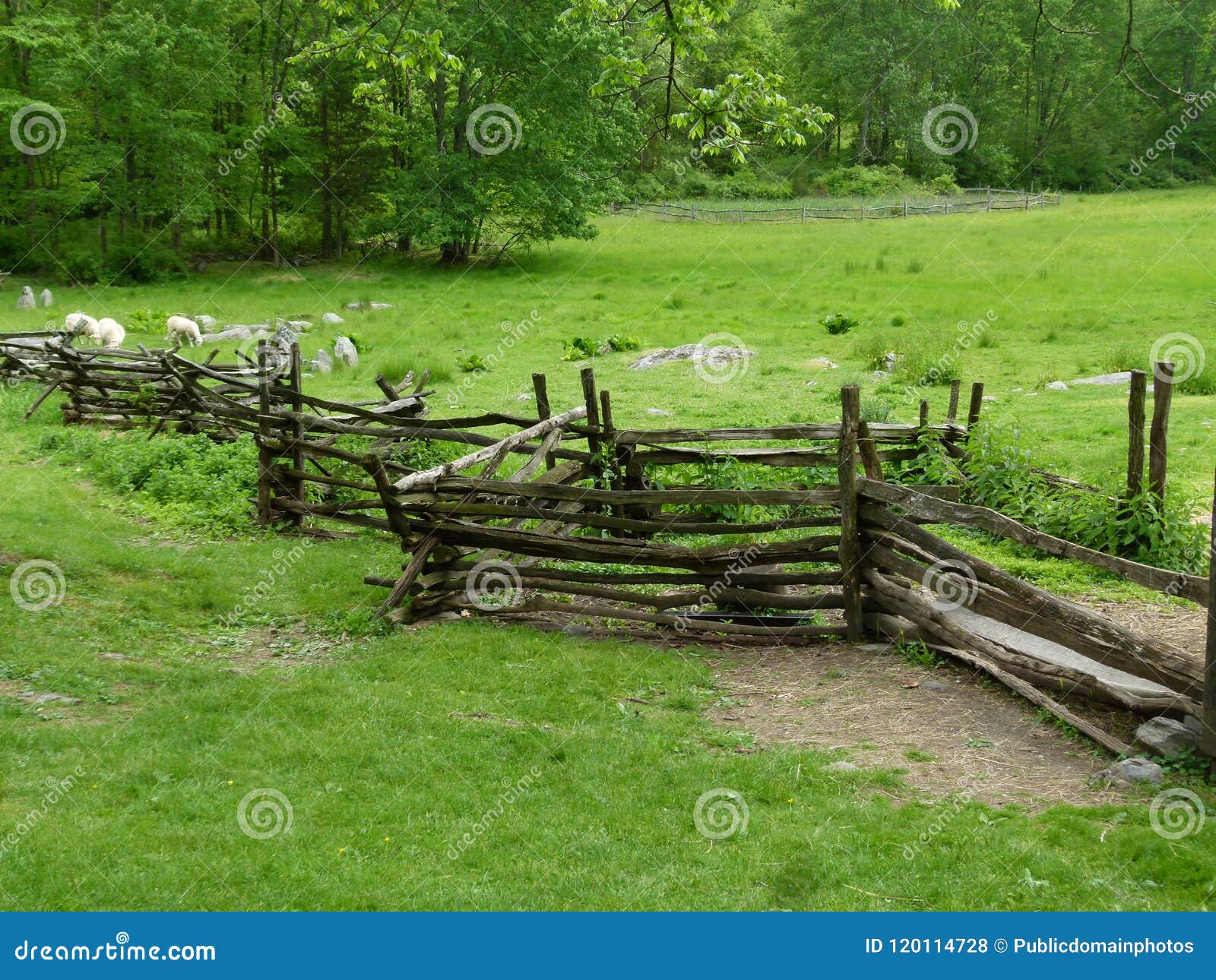 Nature Reserve, Pasture, Split Rail Fence, Fence Picture. Image: 120114728
