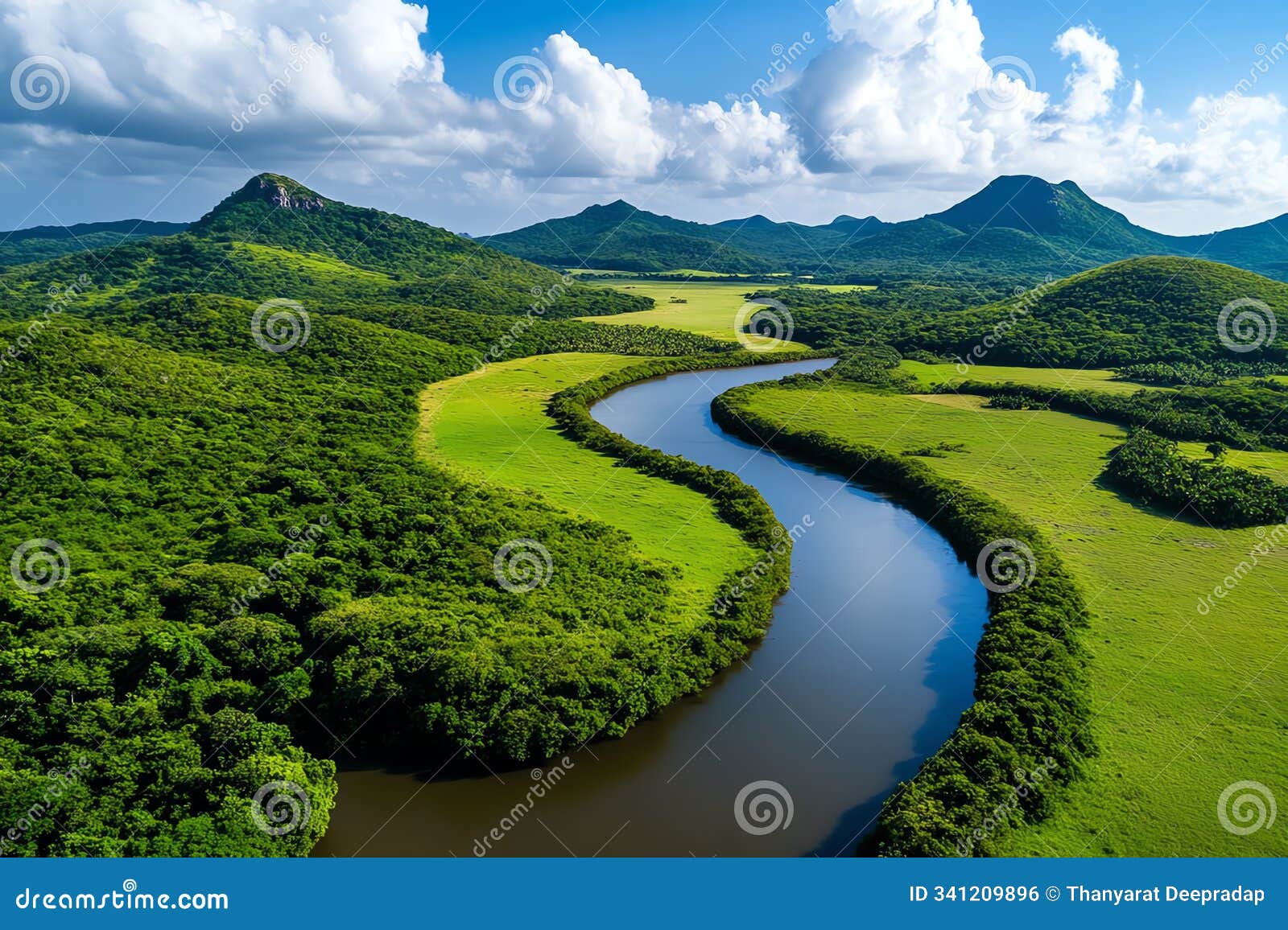 Nature Reserve, Rewilding Efforts, Ecosystem Restoration Work To Bring ... Nature Reserve, Rewilding Efforts, Ecosystem Restoration Work To Bring ...