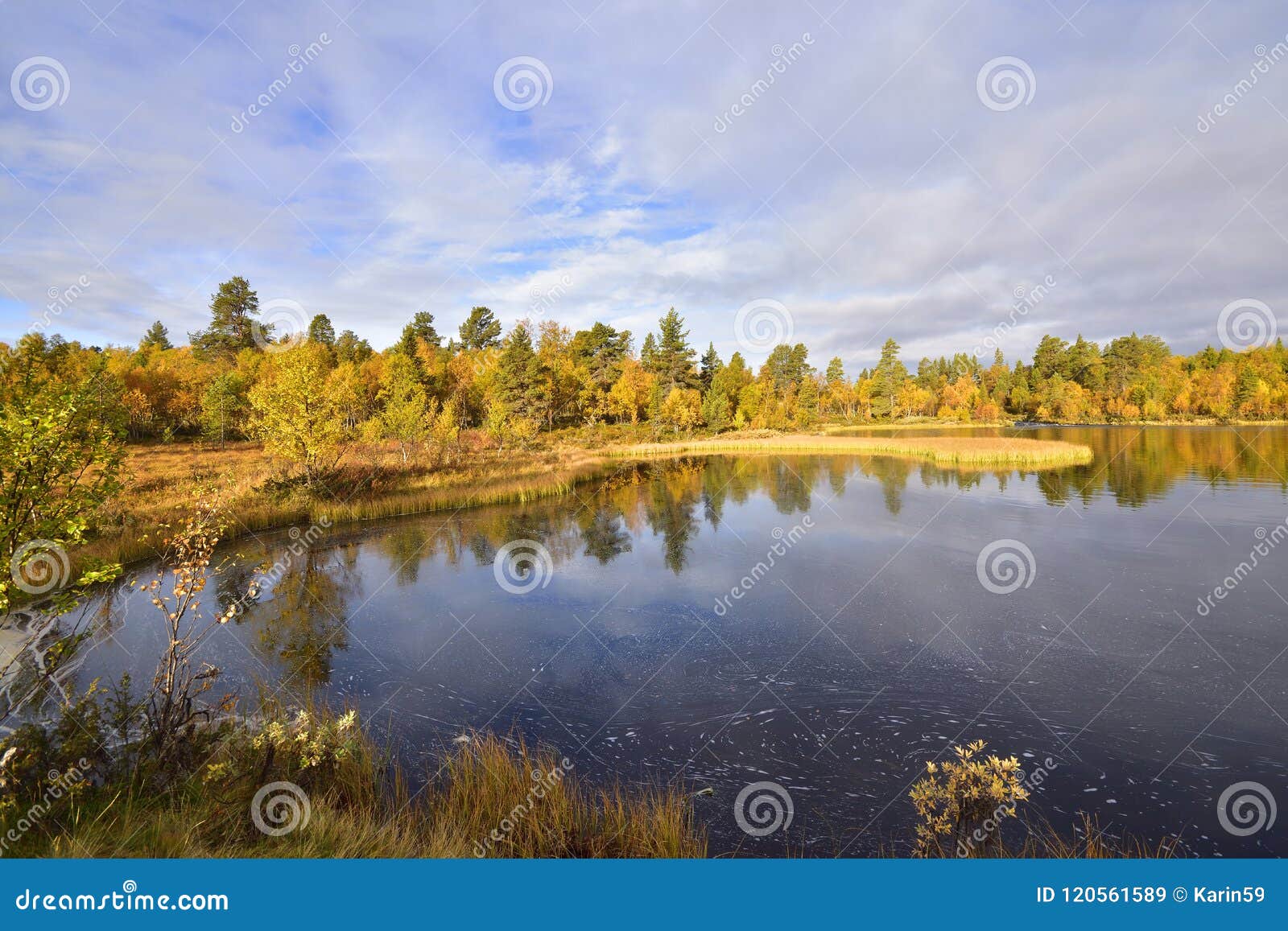 Nature reserve rogen stock image. Image of lake, northern - 120561589