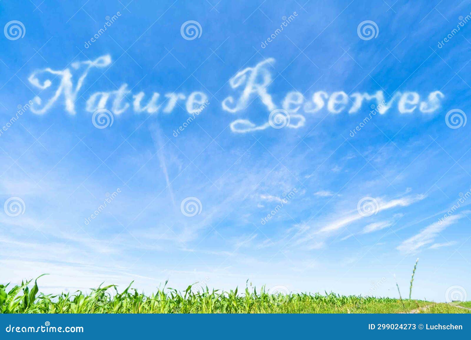 Nature Reserves: Protected Areas Set Aside for Conservation and ...