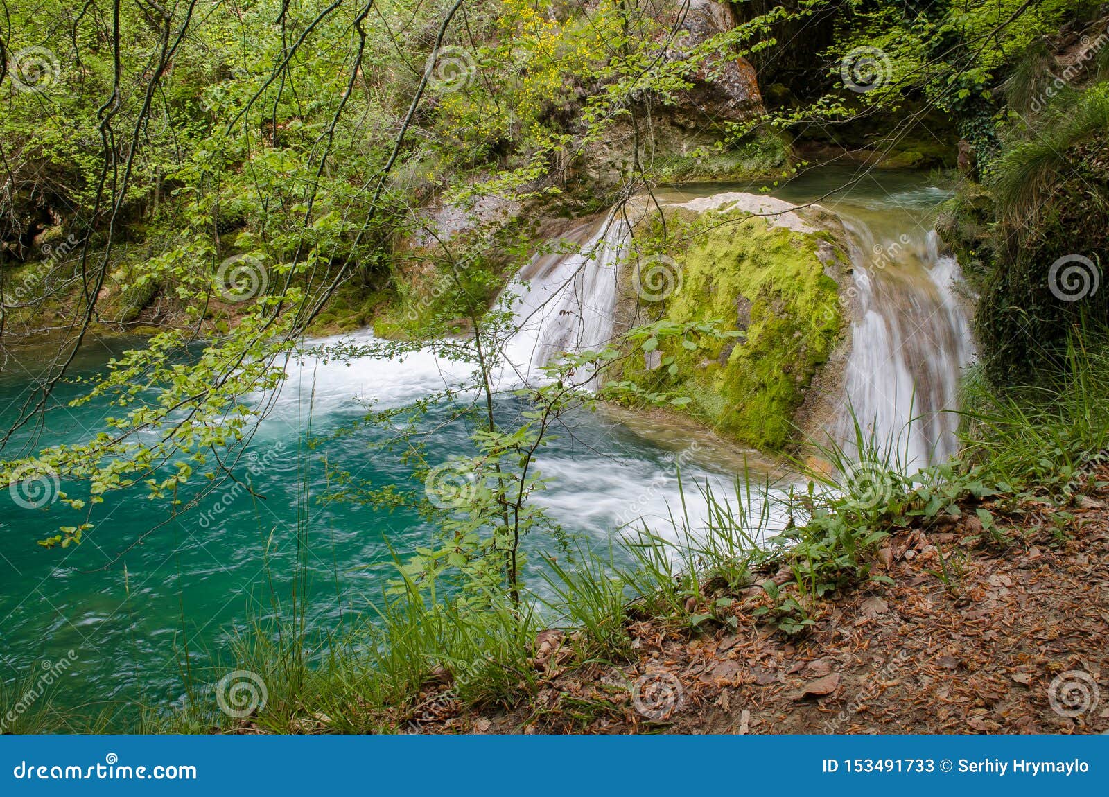 Mountain river in forest stock image. Image of mountain - 153491733