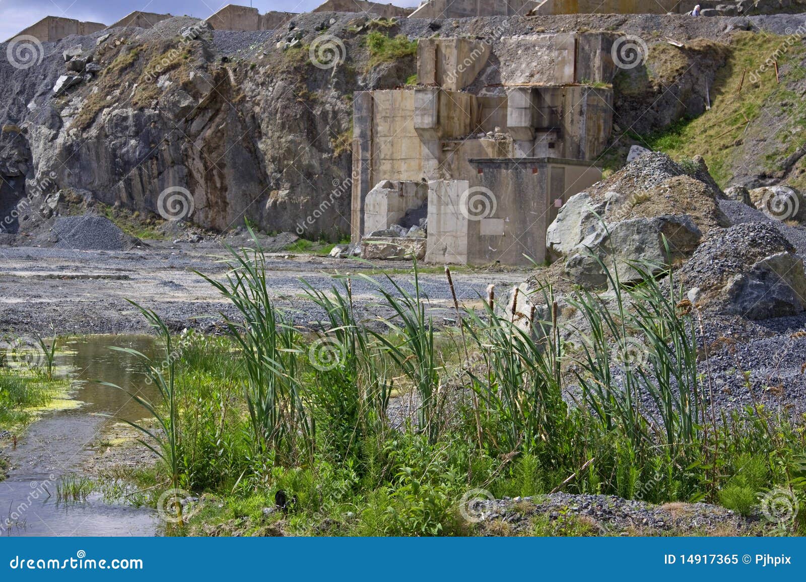 Nature Returns to a Quarry stock image. Image of gree - 14917365