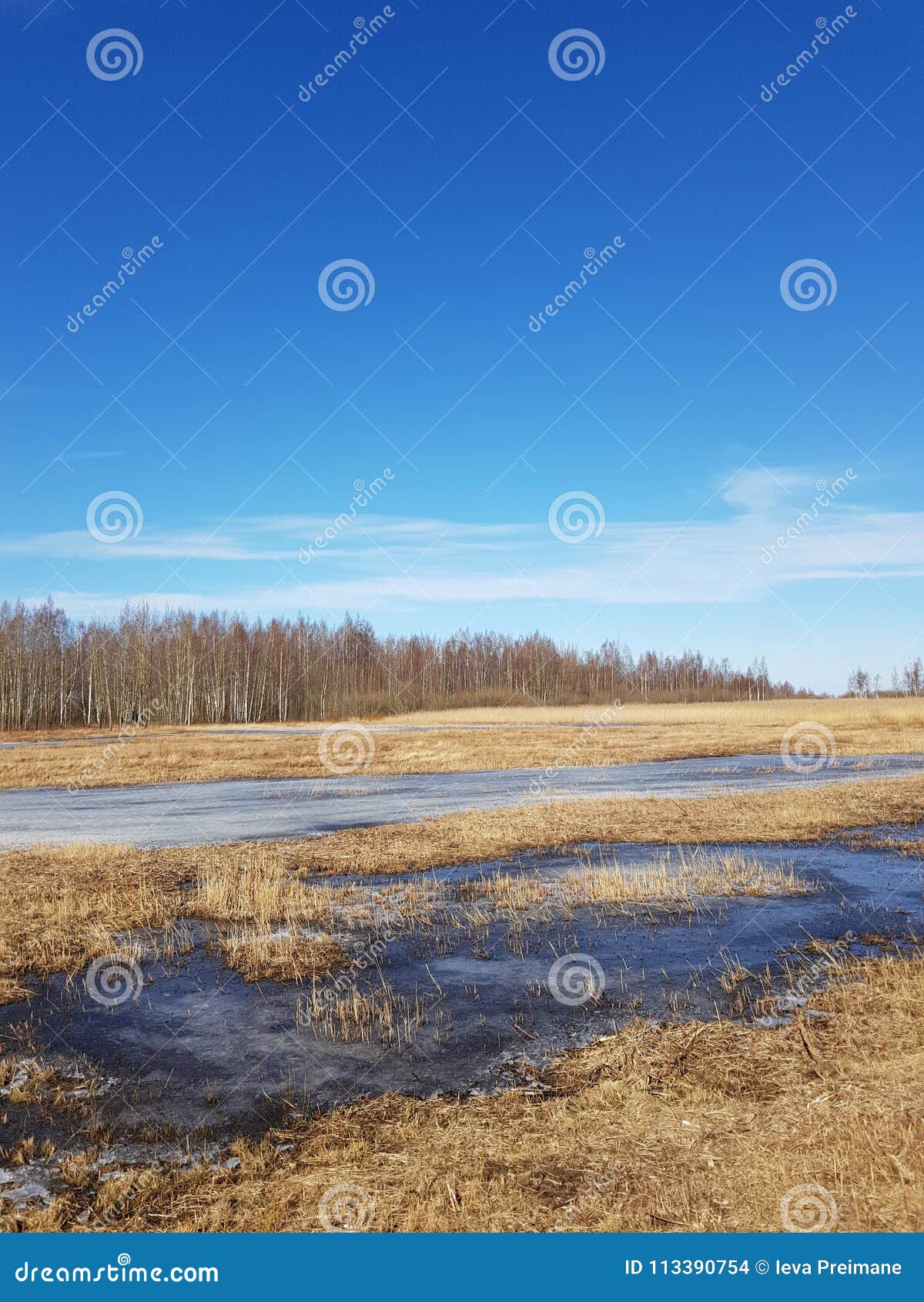 Nature stock photo. Image of latvia, meadow, daba, nature - 113390754