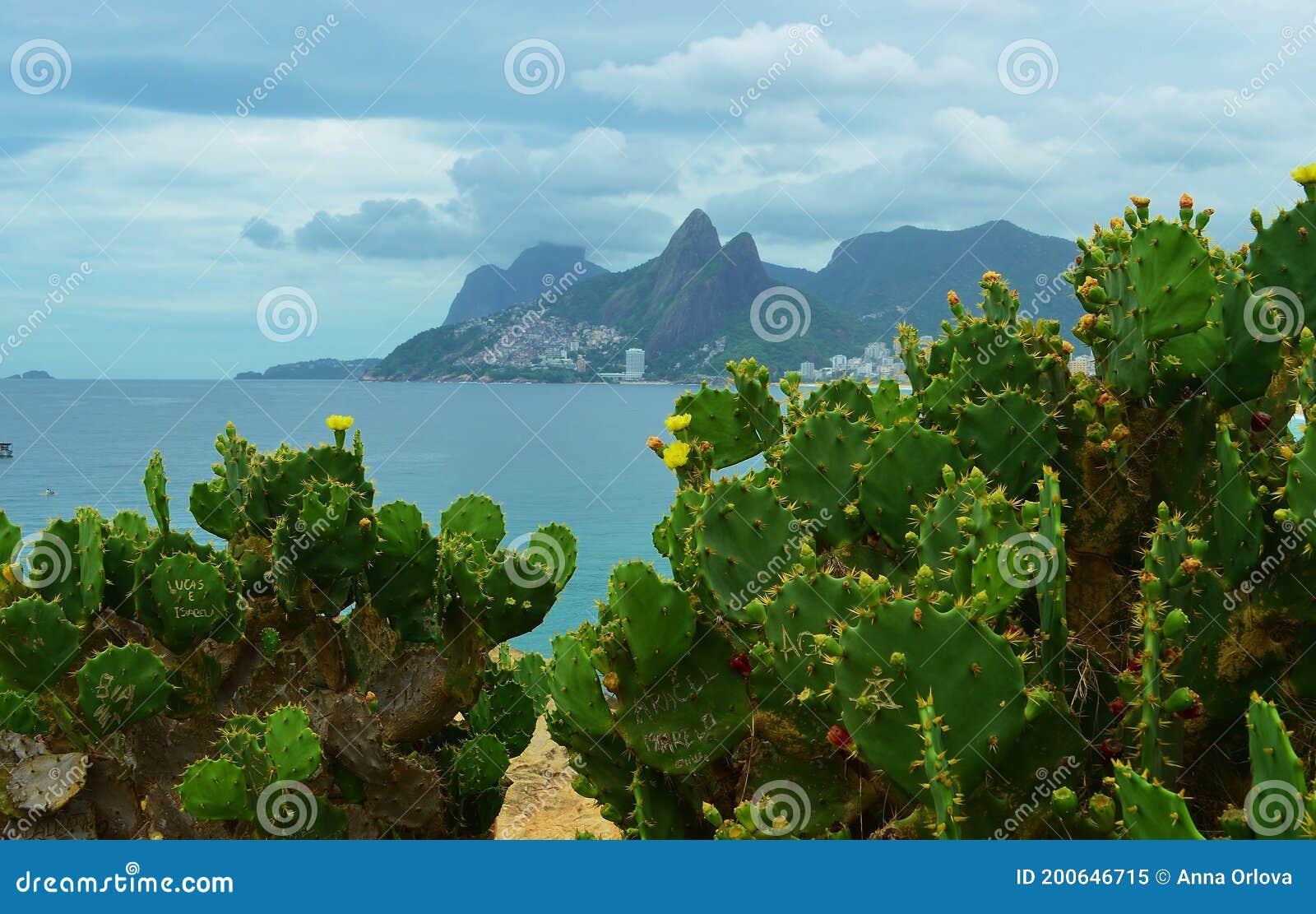 Nature of Rio De Janeiro in Brazil Stock Image - Image of brazil ...